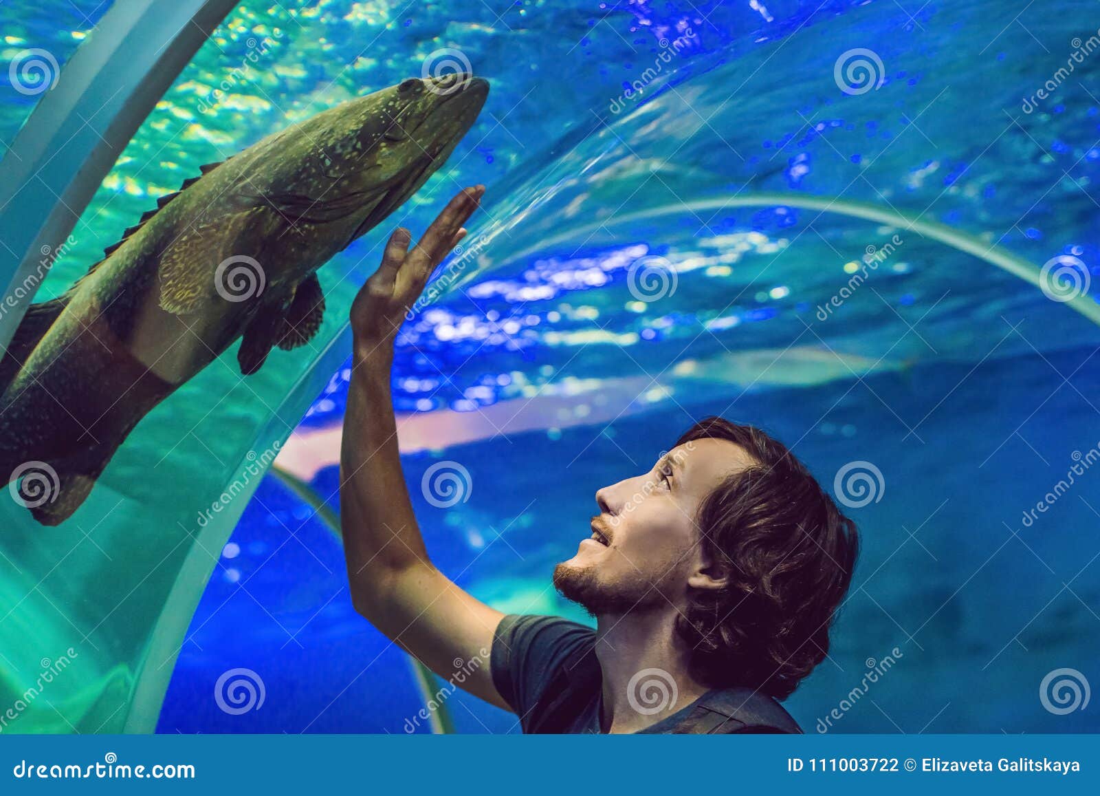Man Looks at the Fish in the Aquarium Stock Photo - Image of holiday ...