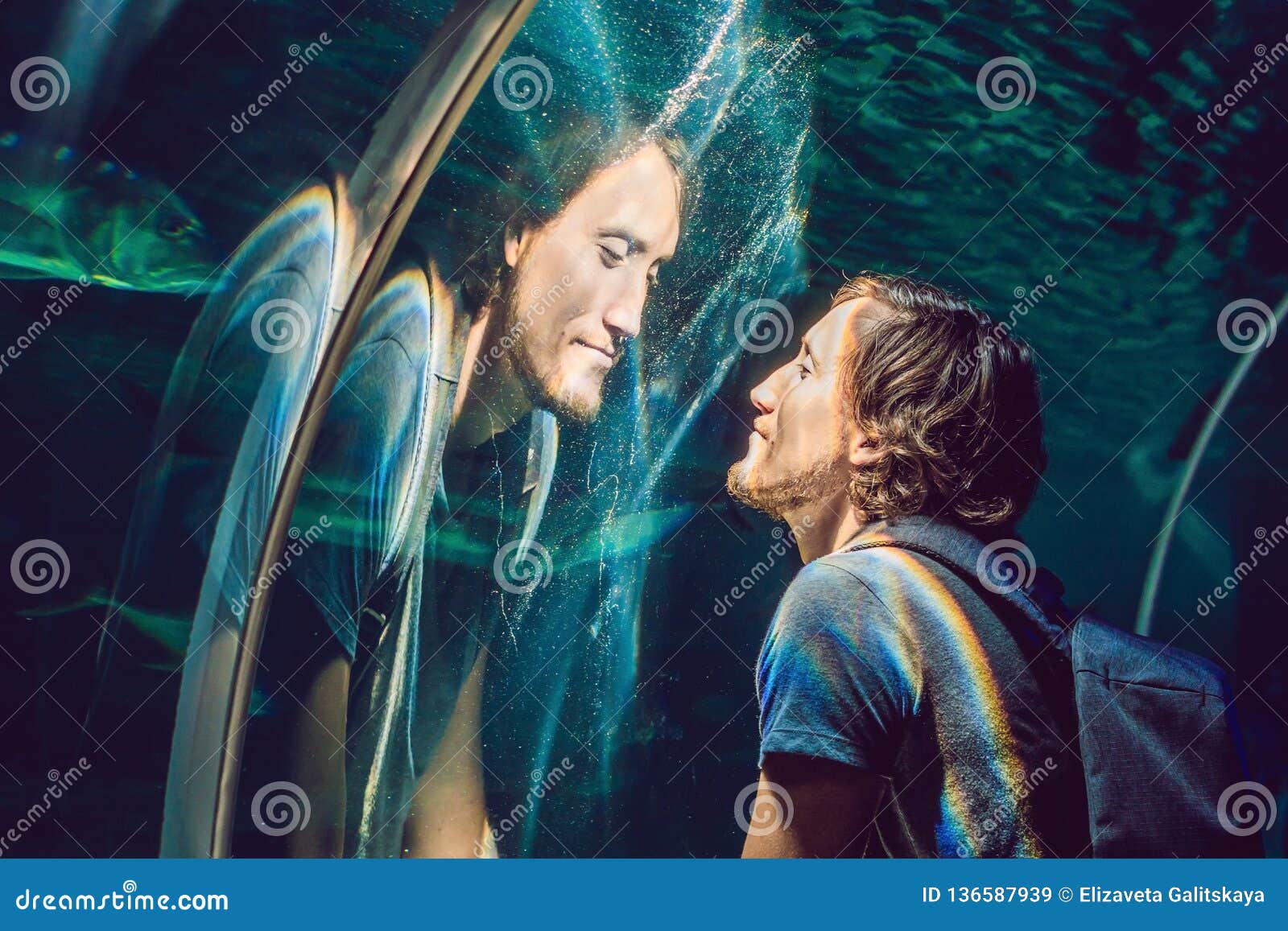 Man Looks at the Fish in the Aquarium Stock Image - Image of nature ...