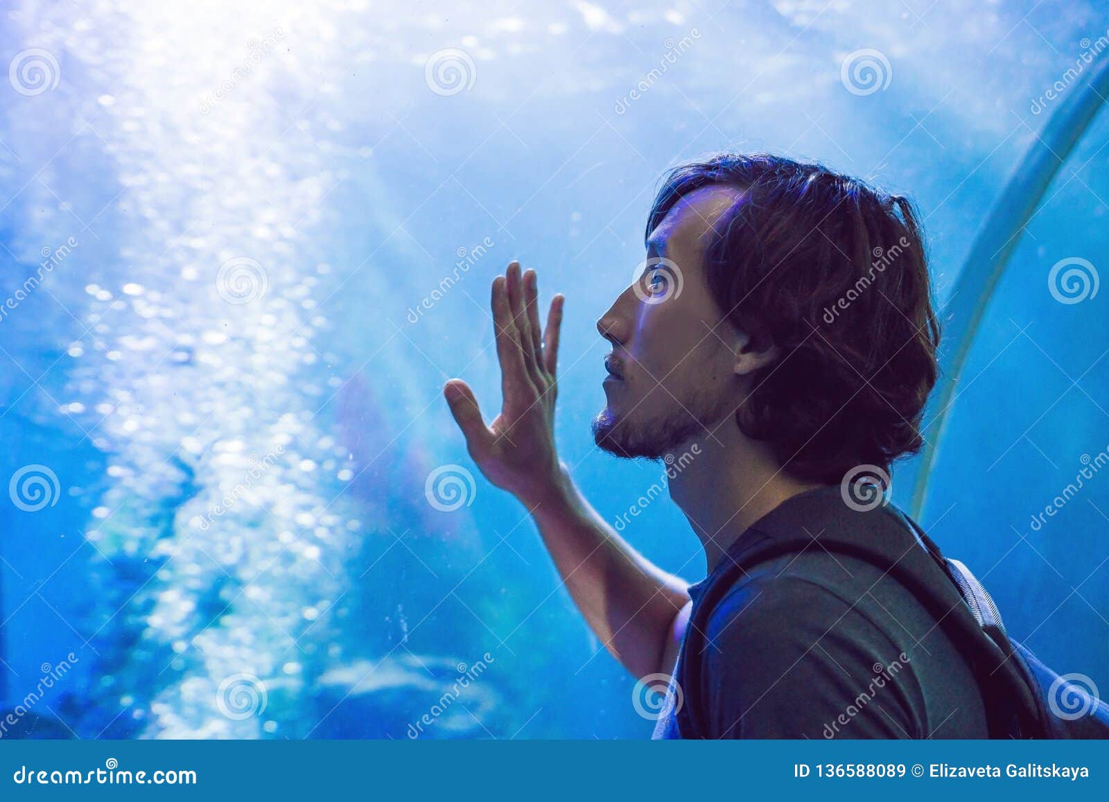 Man Looks at the Fish in the Aquarium Stock Image - Image of male ...