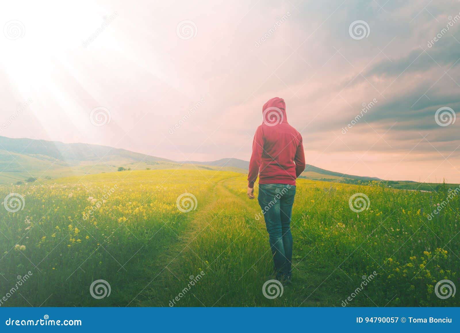 Man looks at God`s light stock image. Image of meadow - 94790057