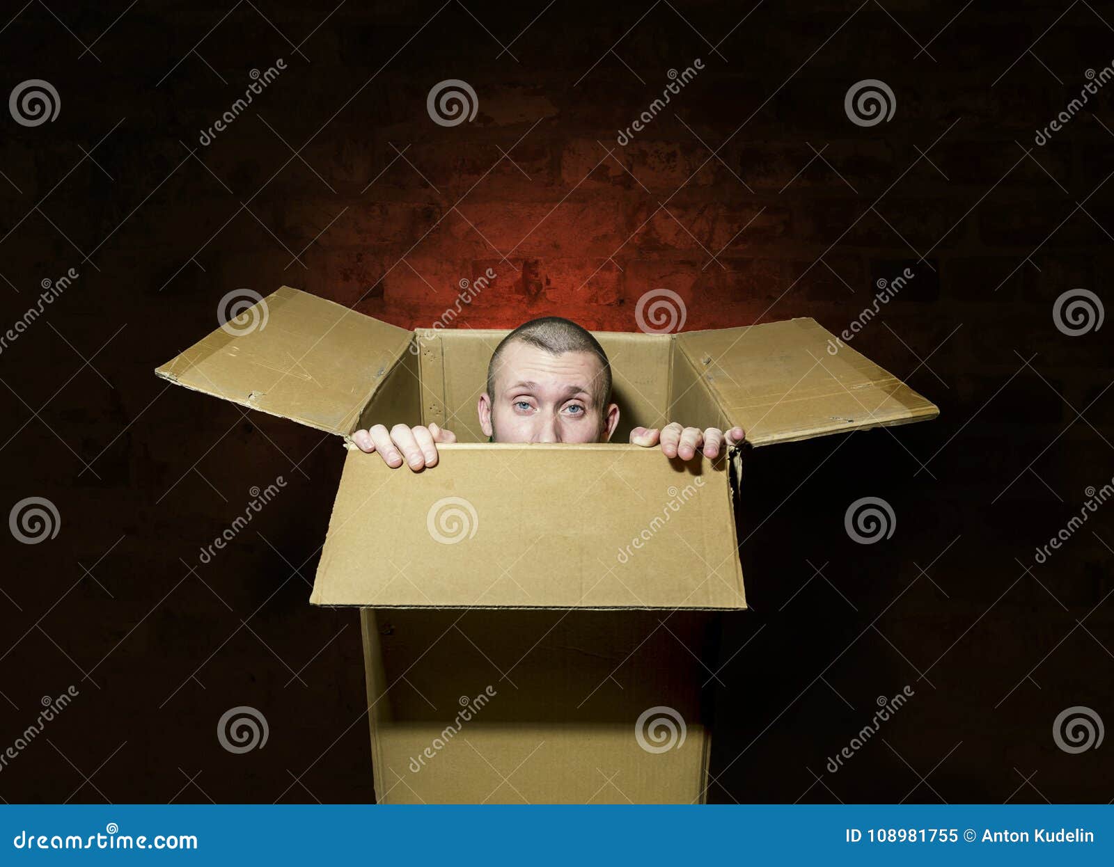 A Man Looks Out of the Box Tight Stock Image - Image of uncomfortable ...