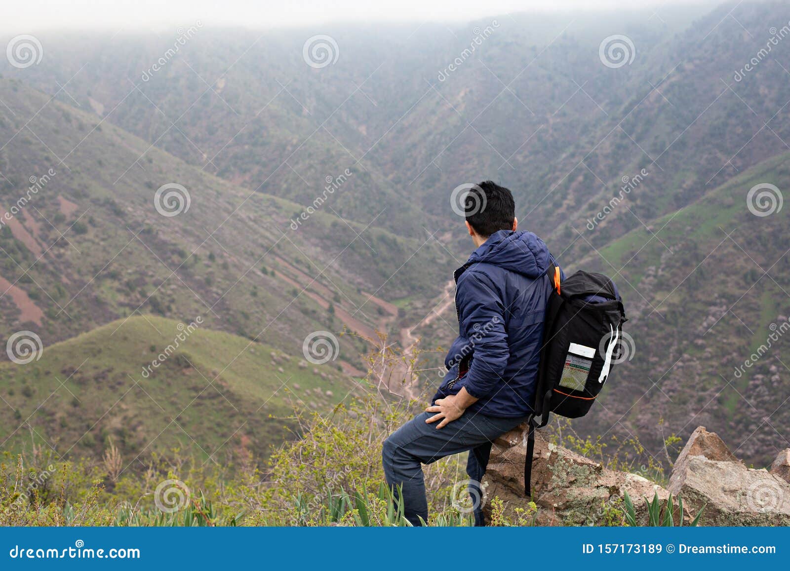 A man looks at a path stock image. Image of garden, nature - 157173189