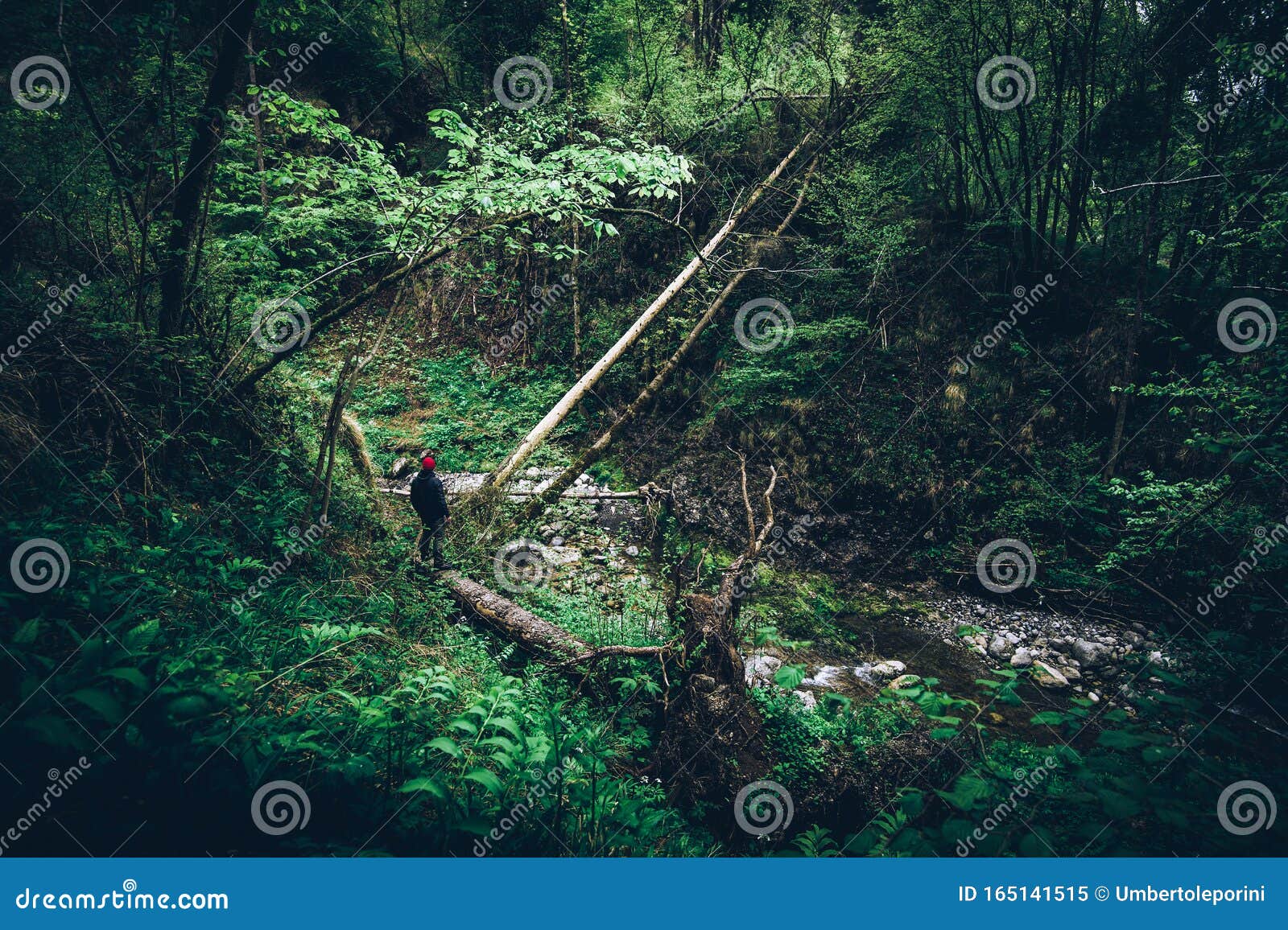 Man lost in the landscape stock image. Image of solo - 165141515