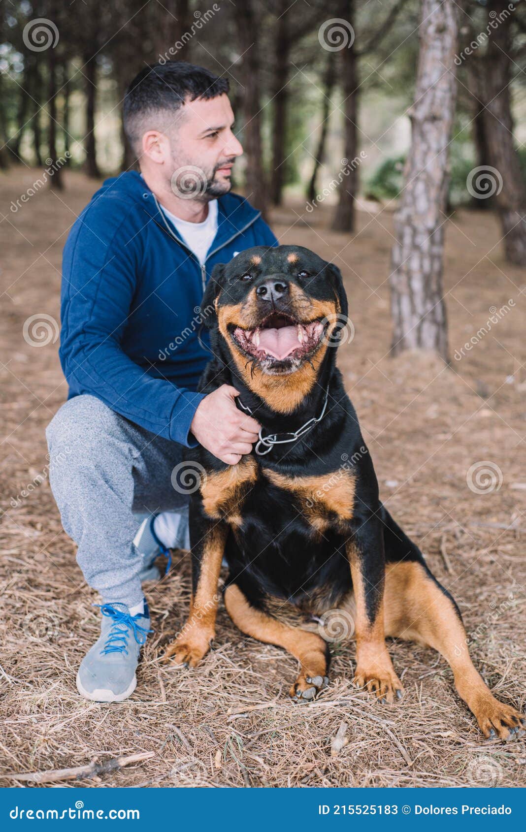 Man Lovingly Playing with His Rottweiler Dog Stock Image - Image of ...