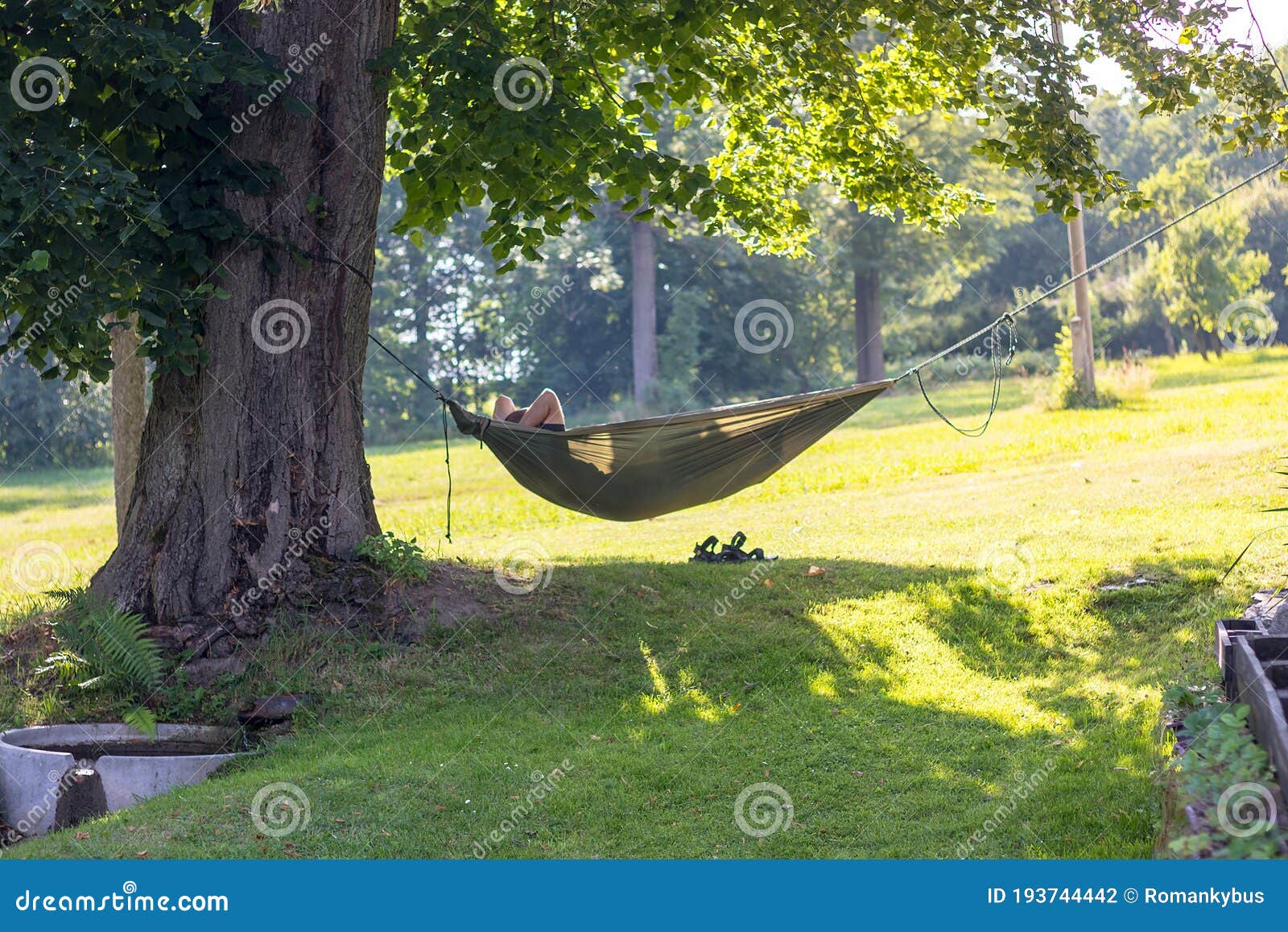 Man Lying and Resting in a Hammock in Nature Stock Photo - Image of ...
