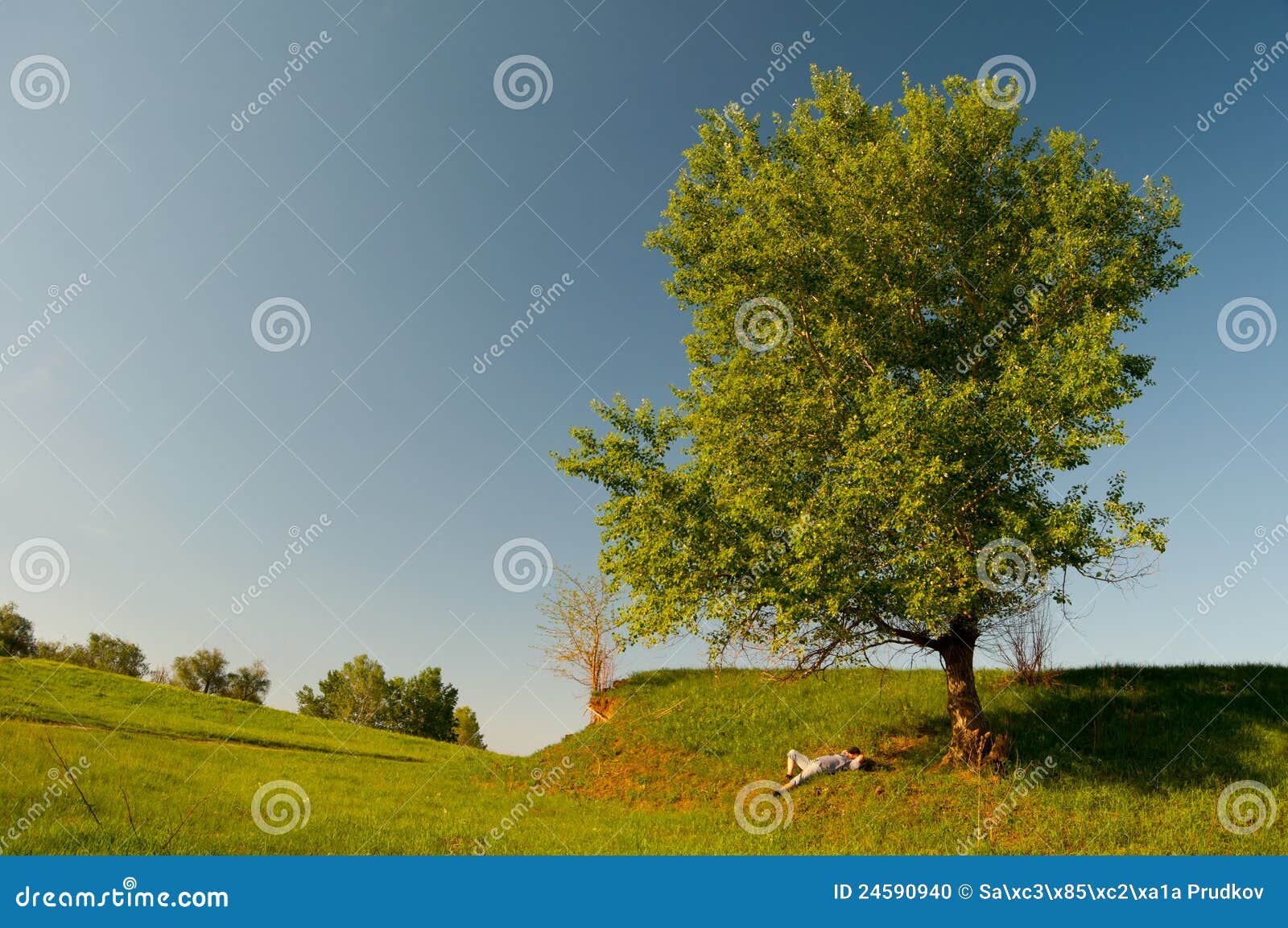 Man Lying Under the Tree on Sunny Spring Day Stock Photo - Image of ...