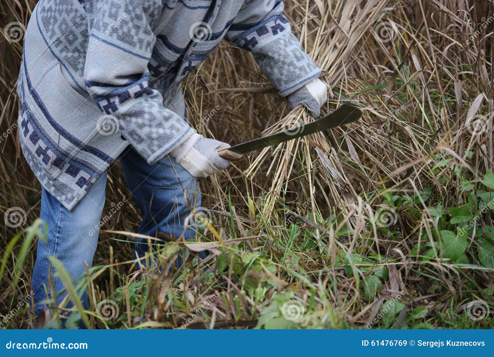 Man with a machete stock image. Image of blade, green - 61476769