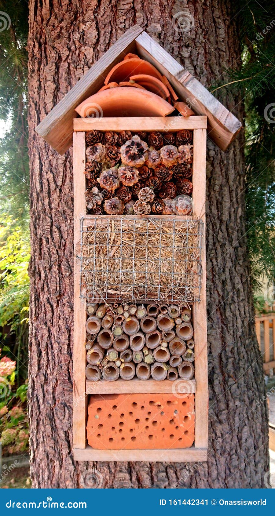 Man Made Bird Tree House Art Stock Image - Image of tree, house: 161442341