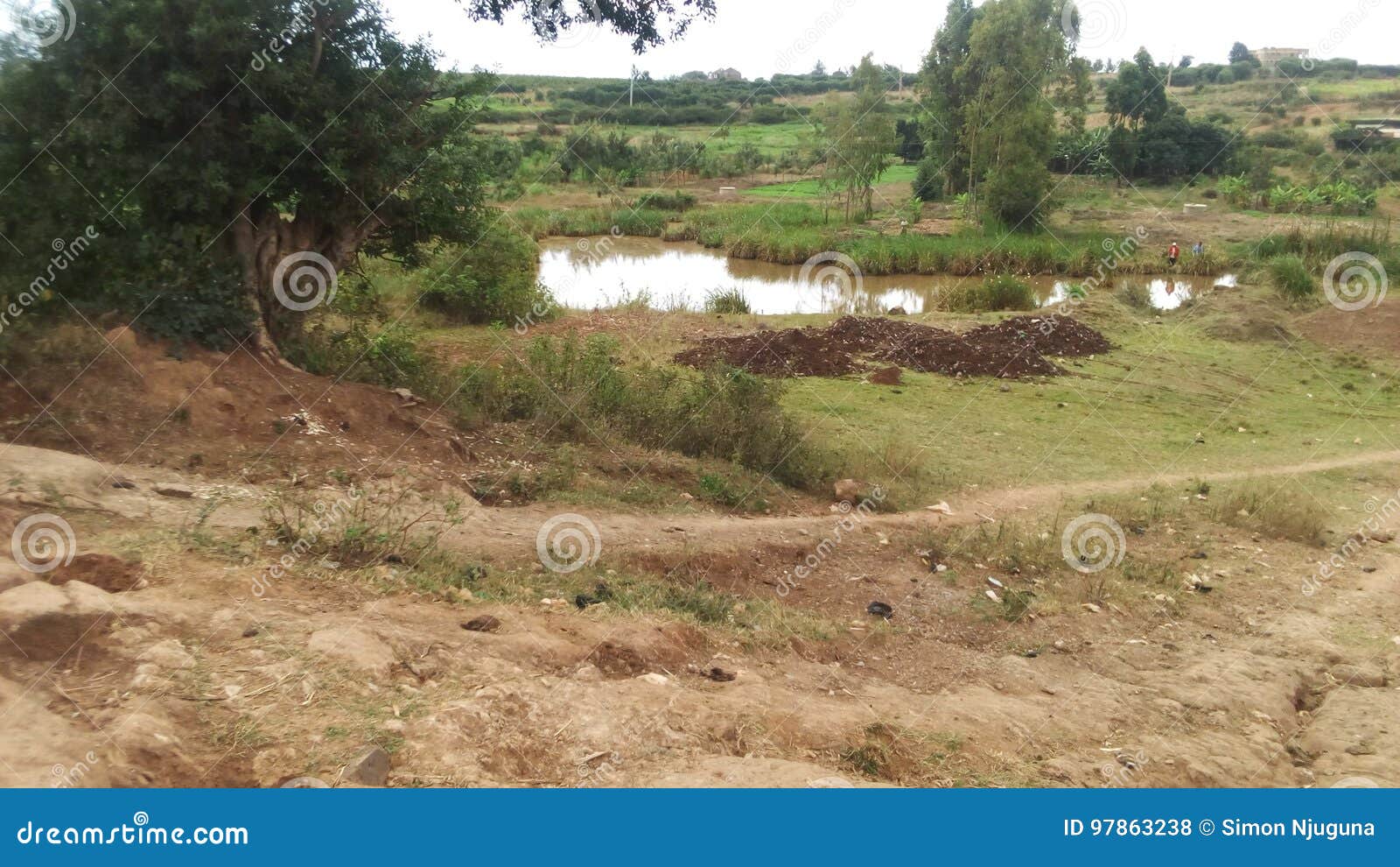 Man made dam stock photo. Image of irrigation, farming - 97863238