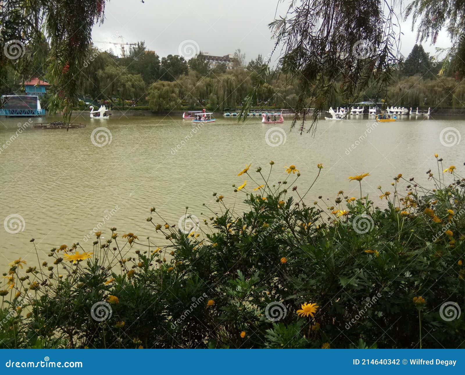 The man made lake stock photo. Image of garden, shore - 214640342