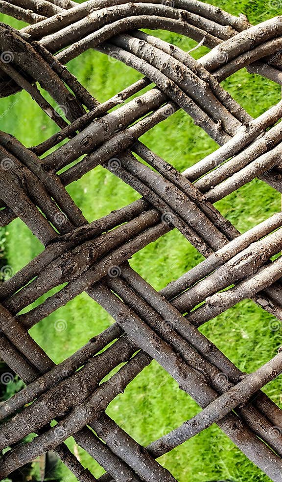 Man-made Patterns Wallpaper Stock Image - Image of green, branch: 199899007