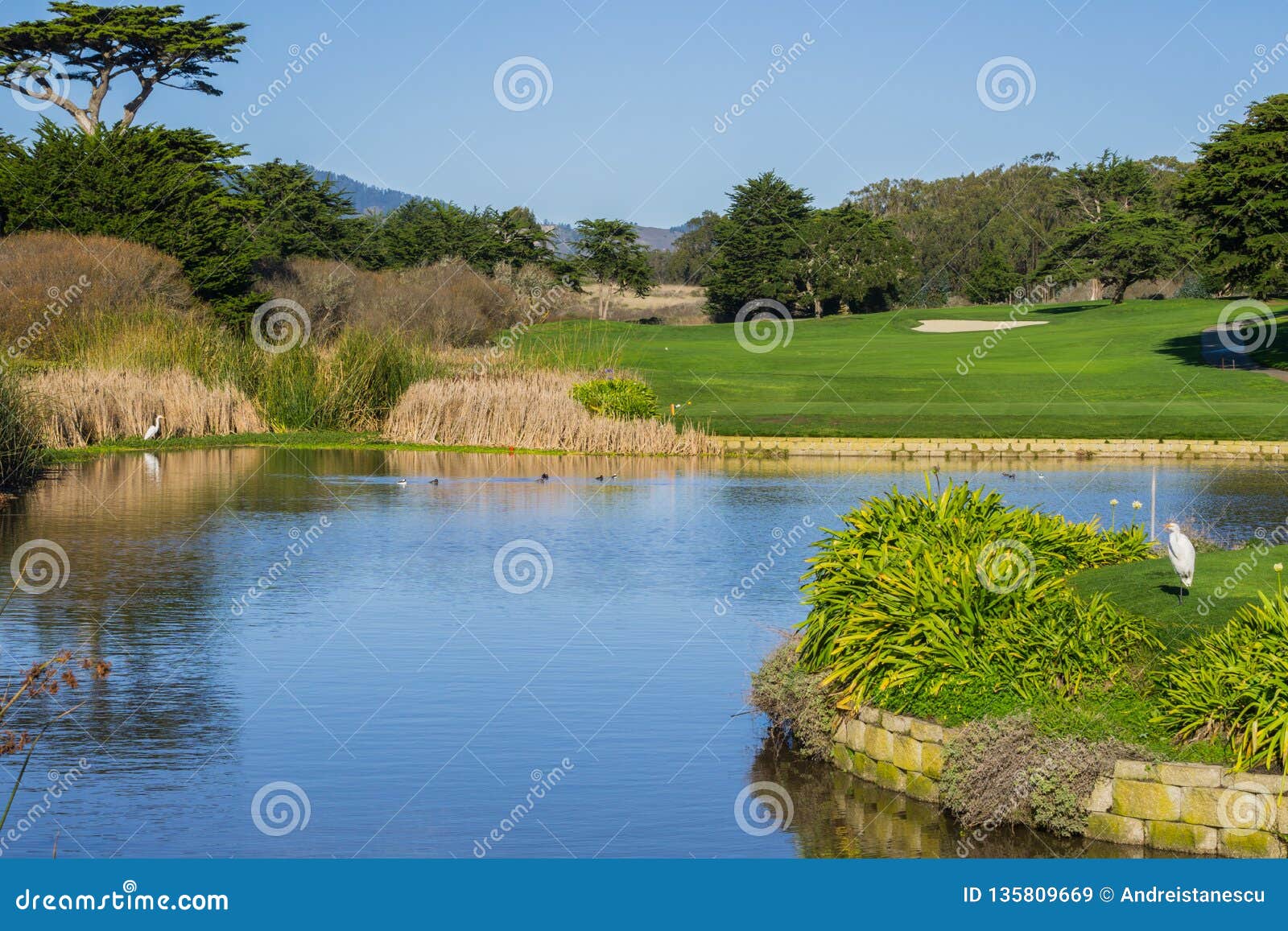 Man Made Pond Near a Golf Course, California Stock Image - Image of ...