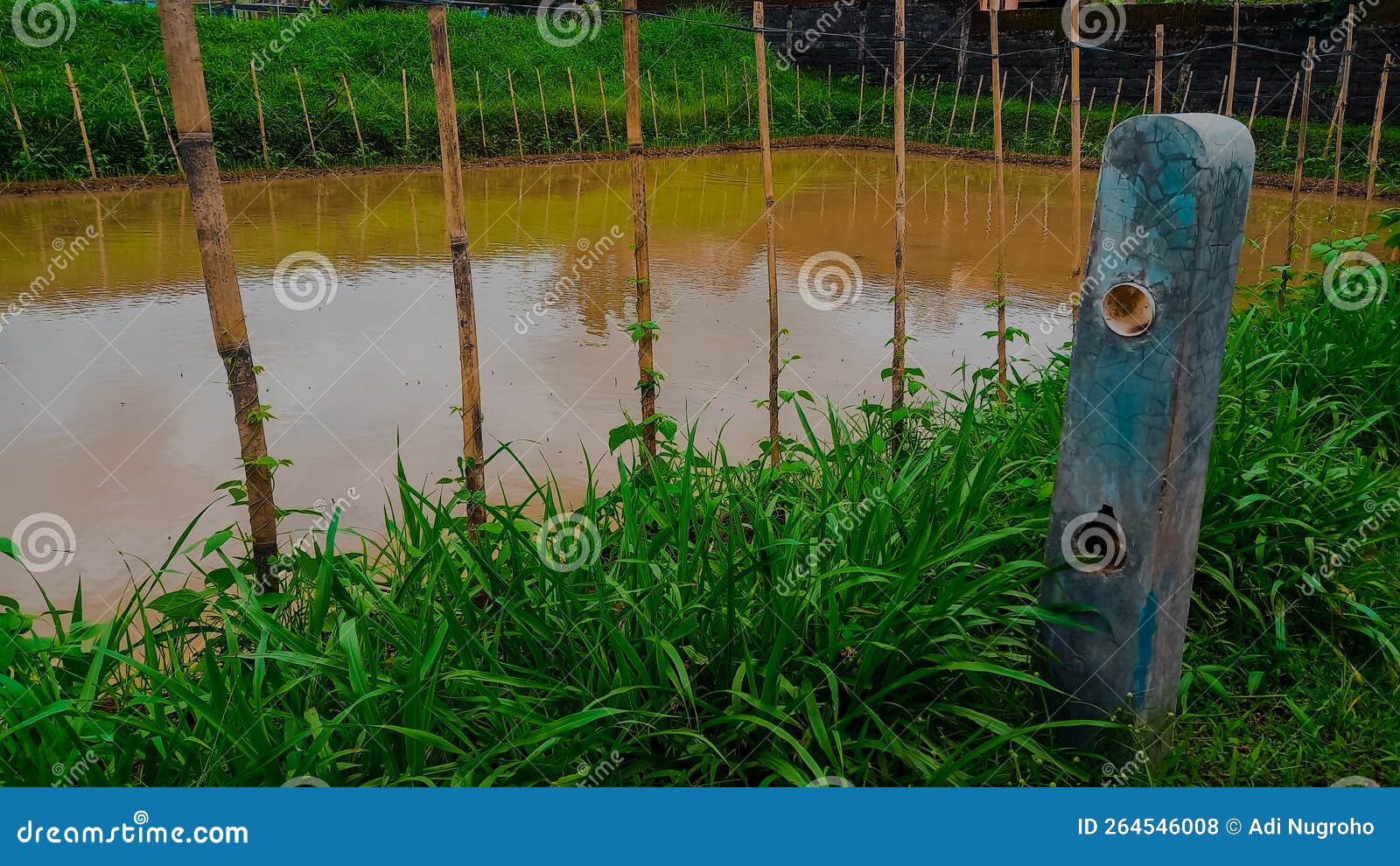 Man-made Ponds Used for Fish Farm Cultivation Stock Photo - Image of ...