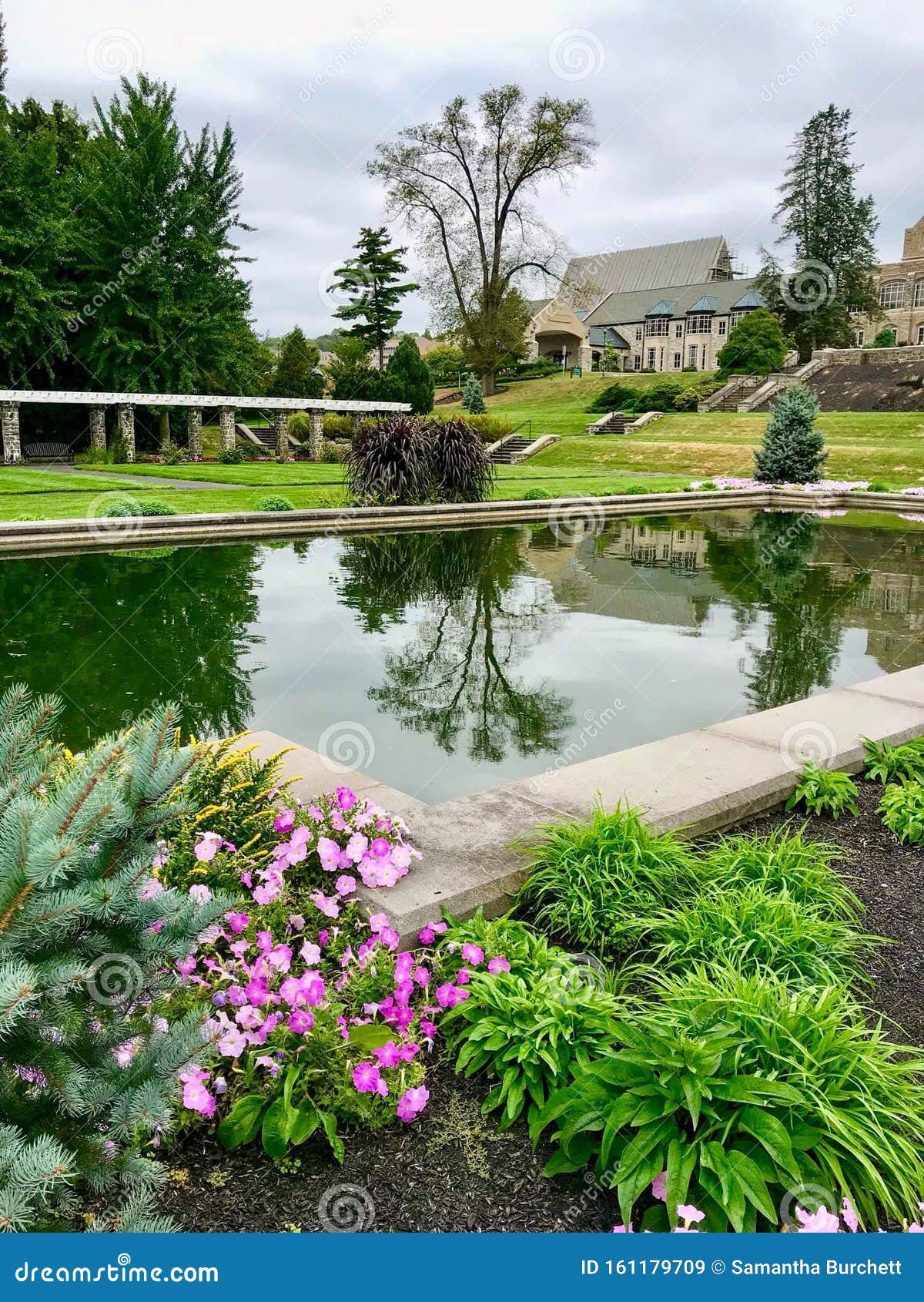 A Man-made Pool of Water in the Middle of a Walking Path Garden Stock ...