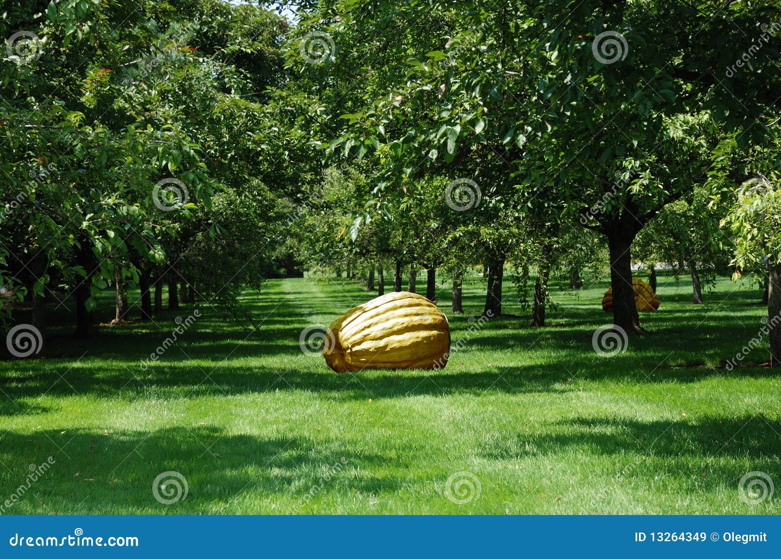 Man-made Pumpkins in the Middle of Apple-trees. Stock Image - Image of ...