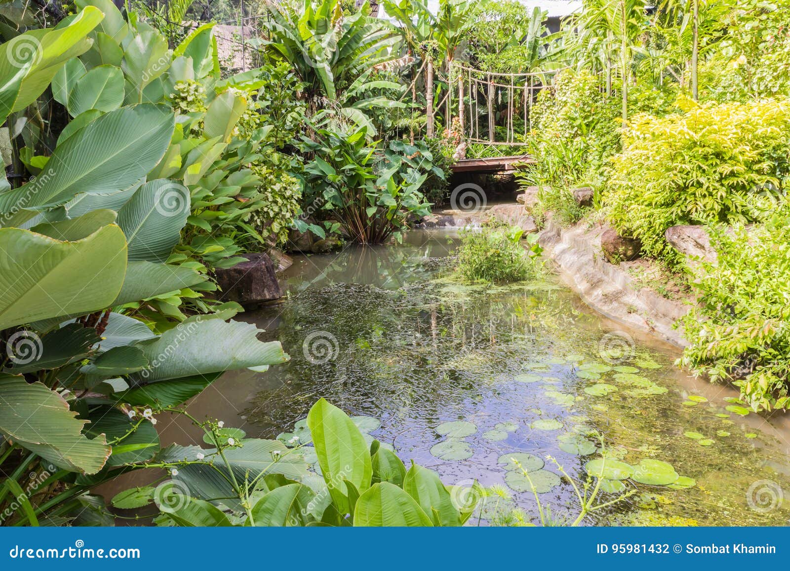 Man-made Small River in Garden Stock Photo - Image of relaxation, still ...