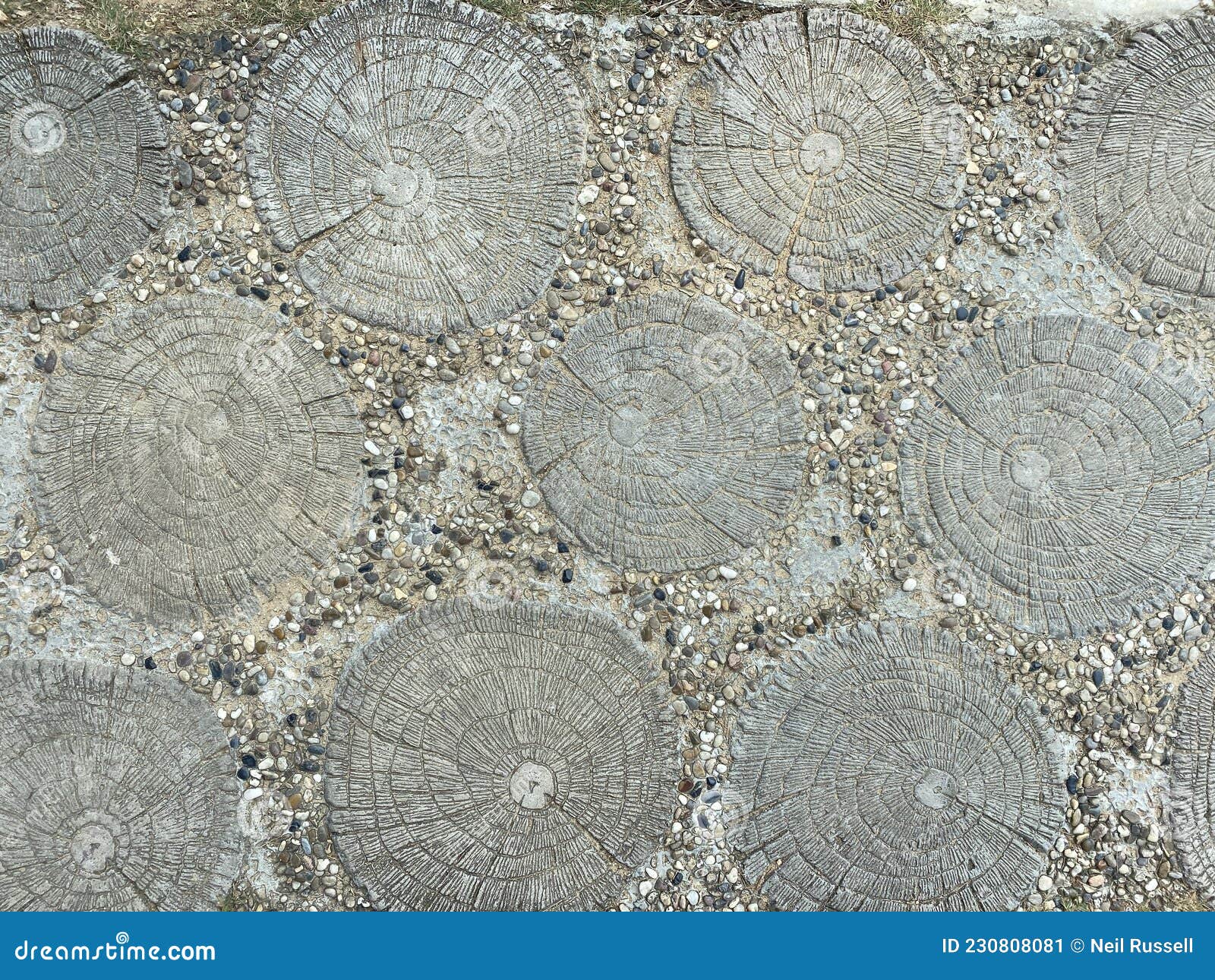 Man-Made Tree Trunk Stone Steps Stock Image - Image of steps, tree ...