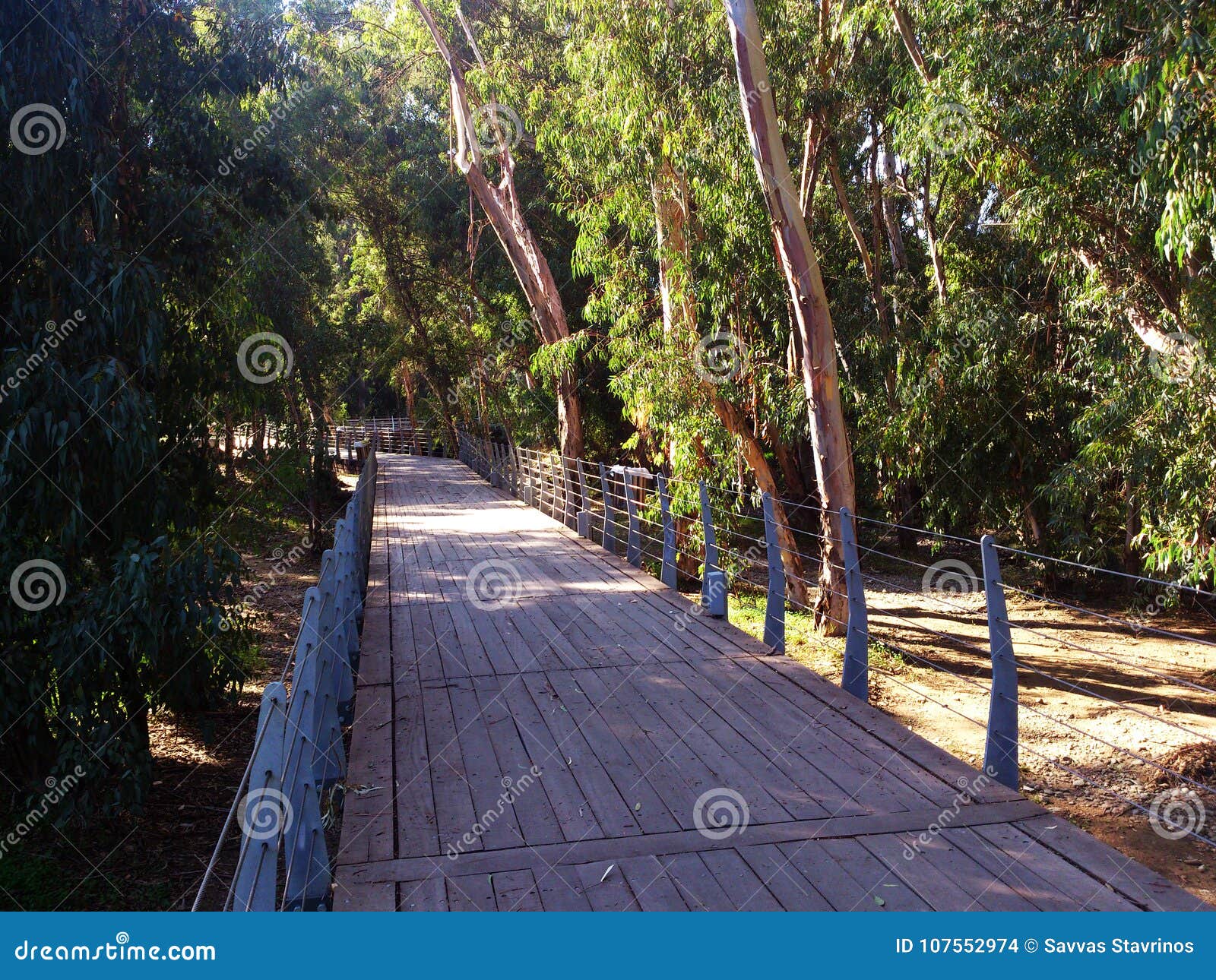 Man Made Structures for Walking and Cycling People in the Linear Park ...