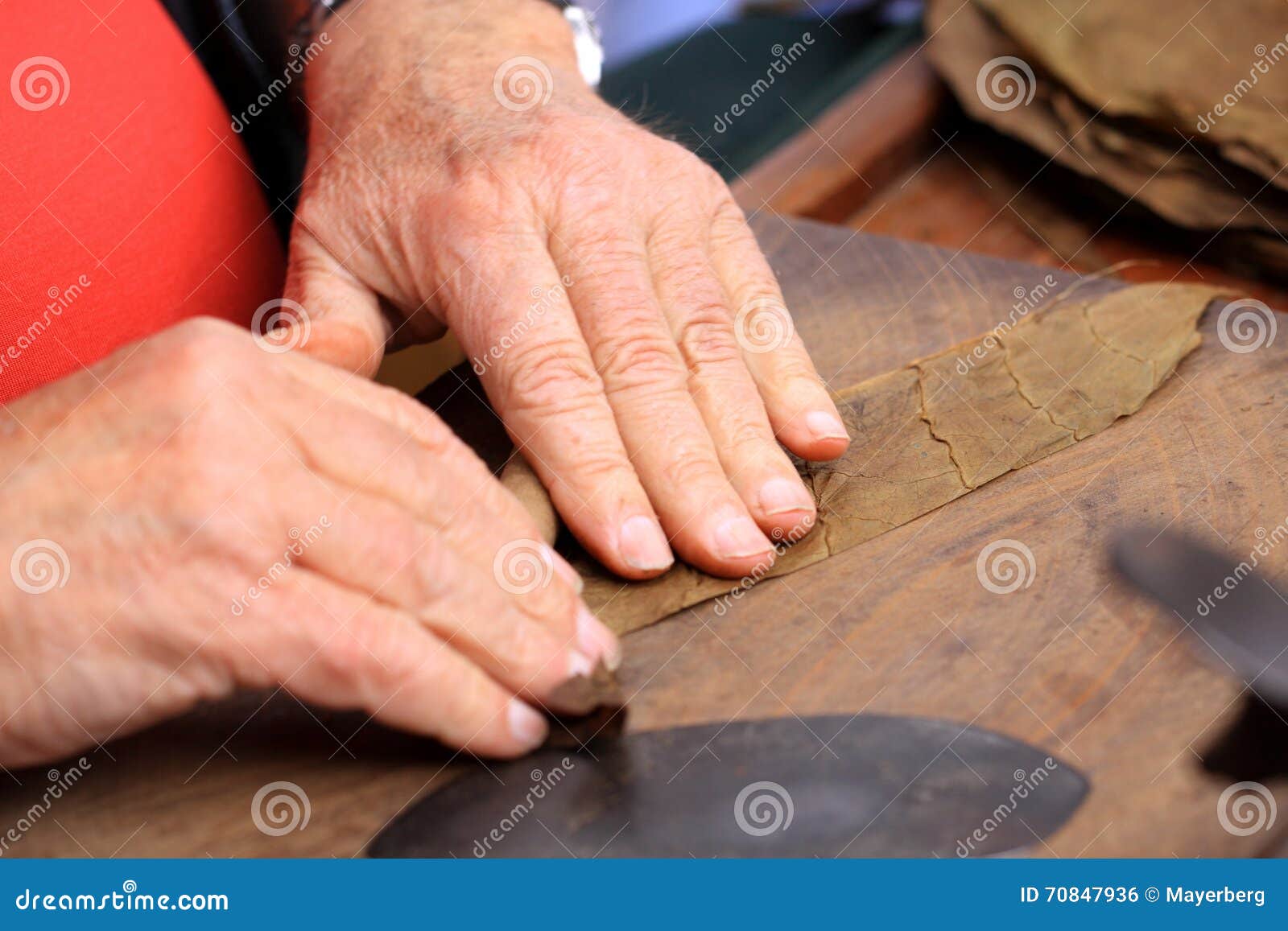Man making cigars by hand stock photo. Image of narcotic - 70847936