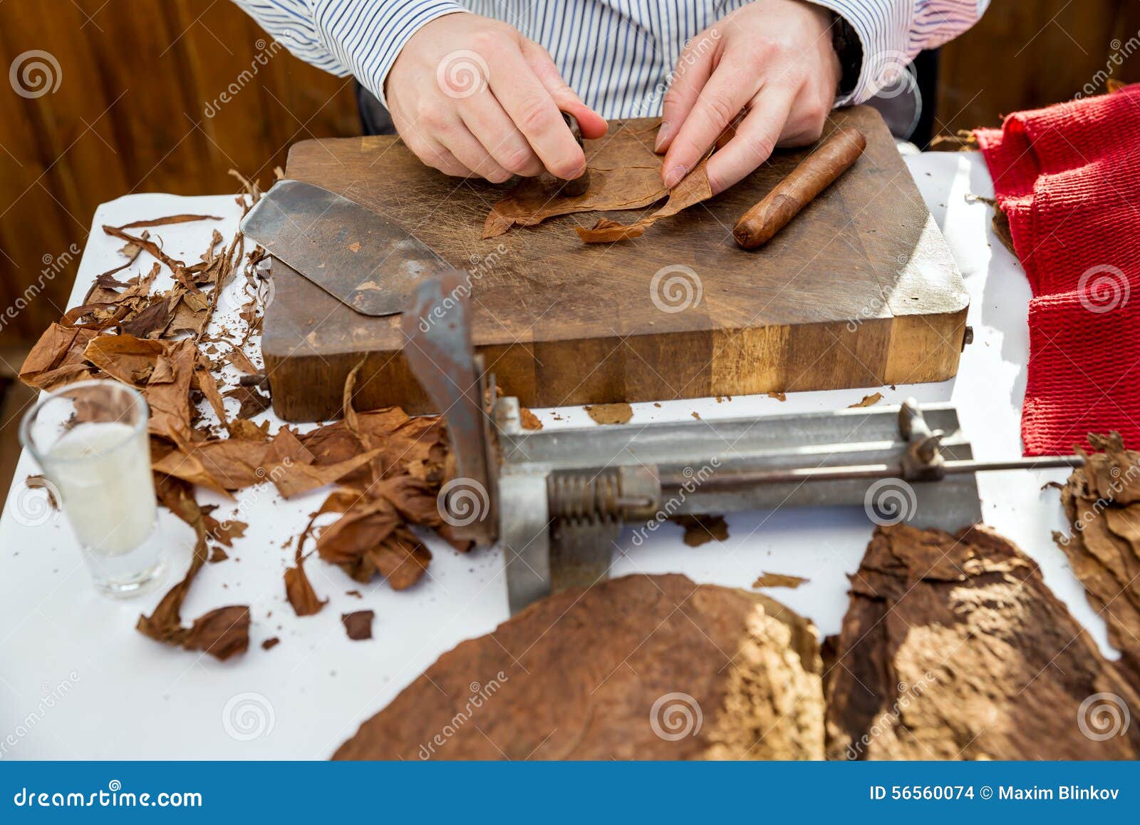 Man making cigars stock photo. Image of handicraft, leave - 56560074