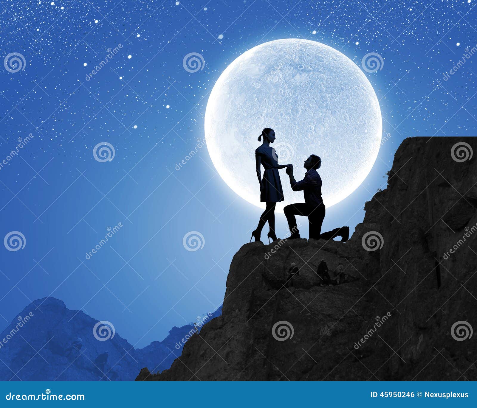 Man making proposal stock photo. Image of honeymoon, husband - 45950246