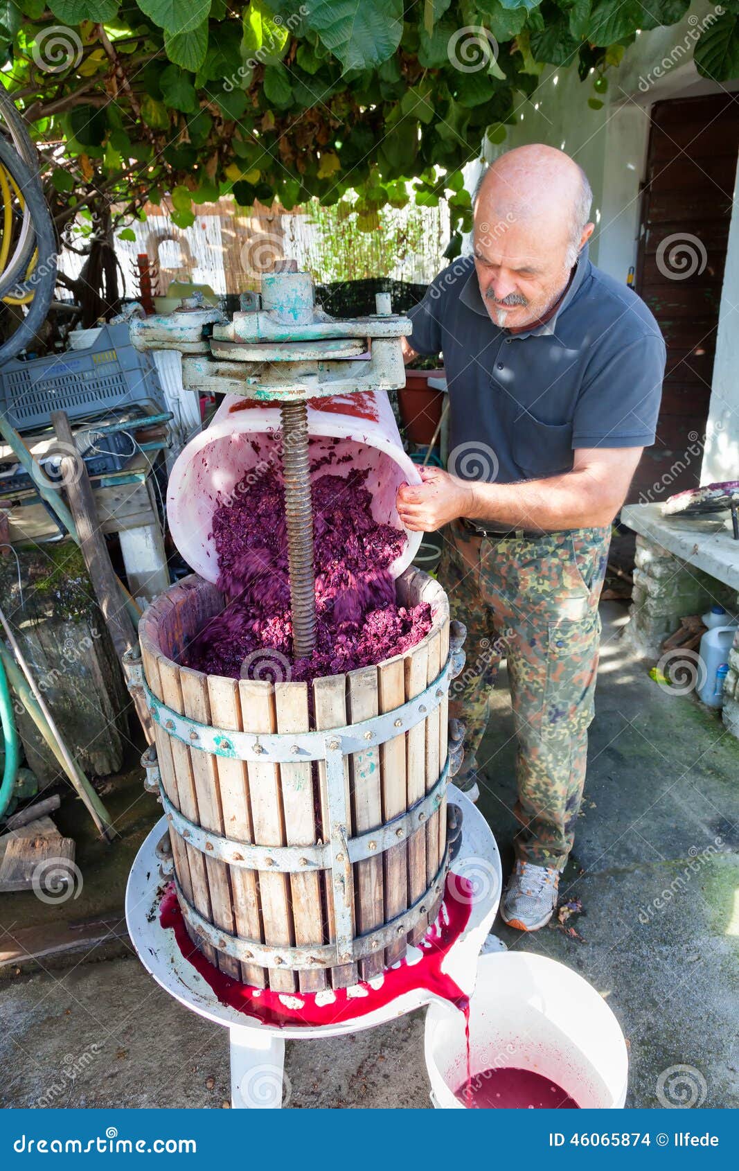 Man making red wine stock photo. Image of juice, traditional - 46065874