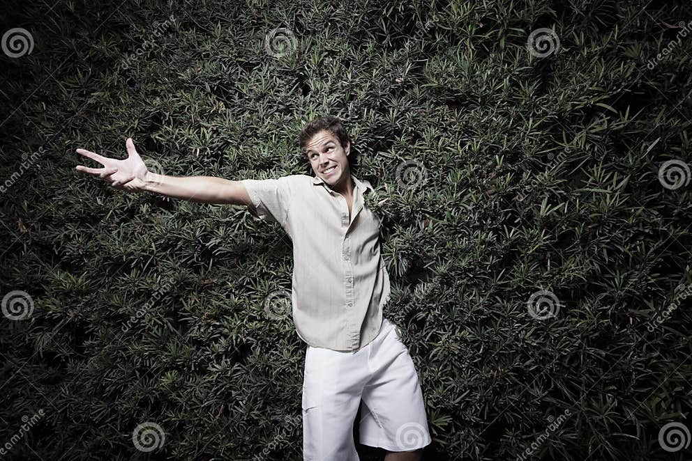 Man and a maneating bush stock image. Image of outstretched - 13079889