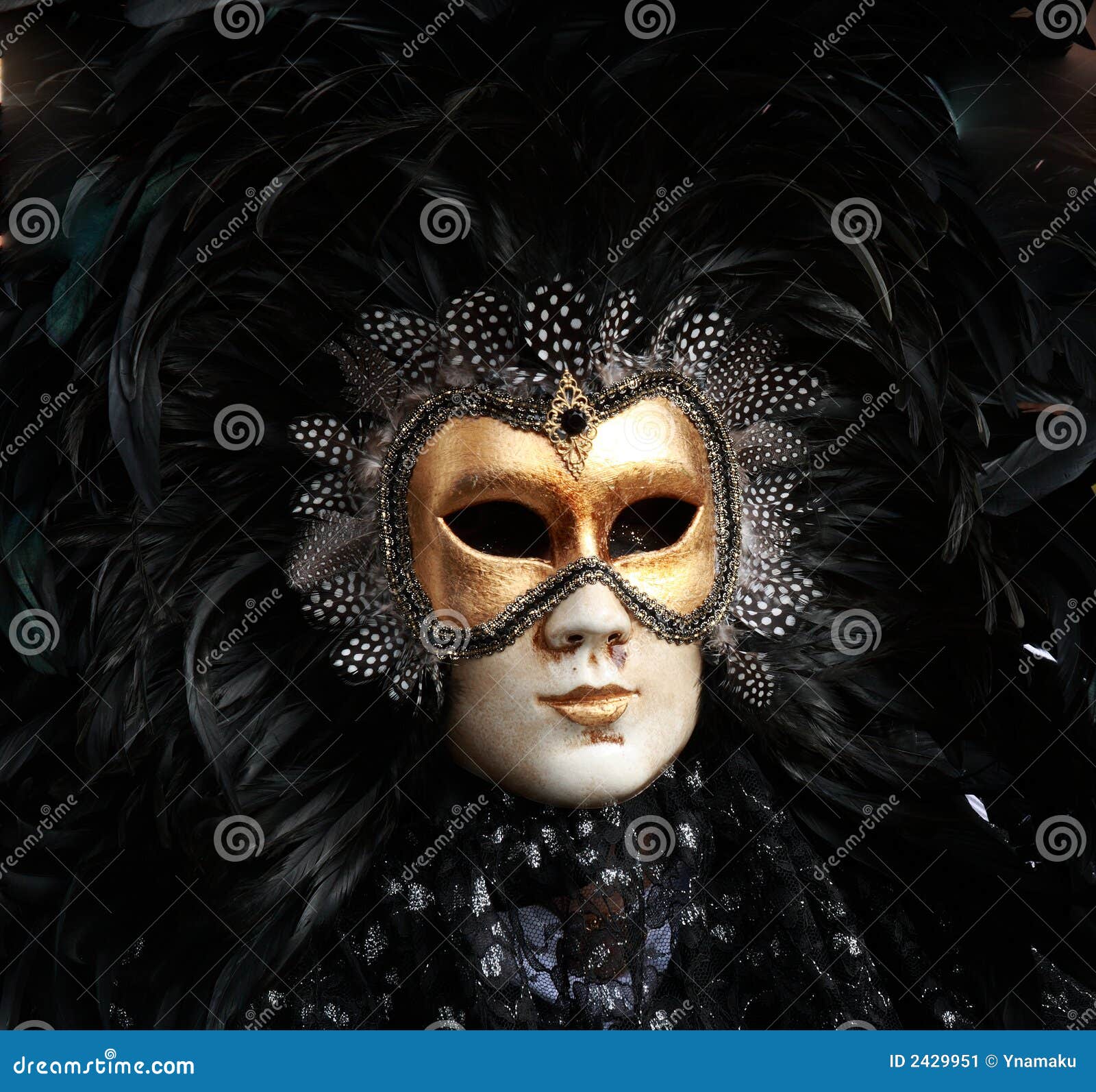 A Man in Mask stock image. Image of fantasy, beautiful - 2429951