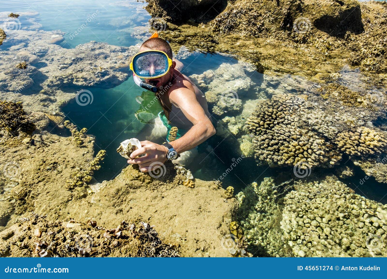 Man in the Mask Floats on a Coral Reef in the Sea Stock Photo - Image ...