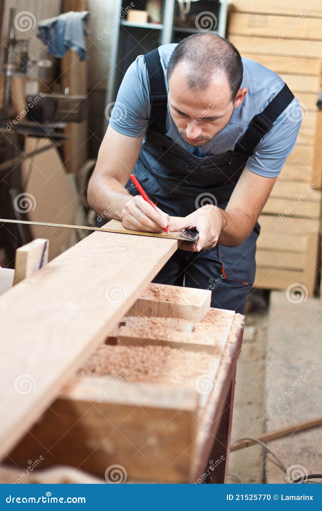 Man measuring a wood plank stock photo. Image of measure - 21525770