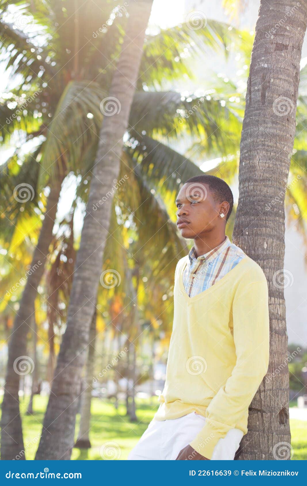 Man in Miami stock image. Image of park, american, glare - 22616639