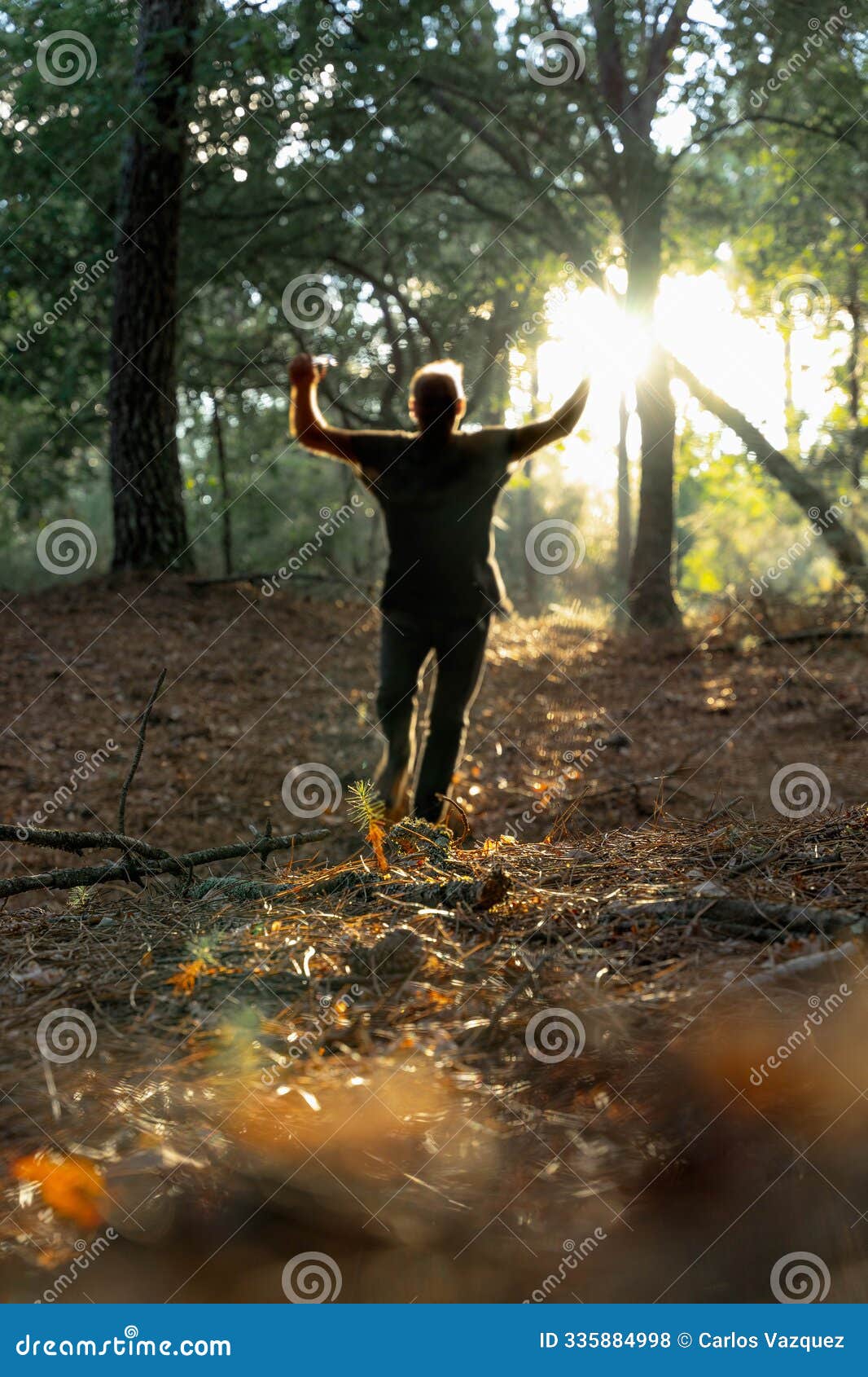 Man in the Middle of a Forest Stock Photo - Image of foliage, masculine ...