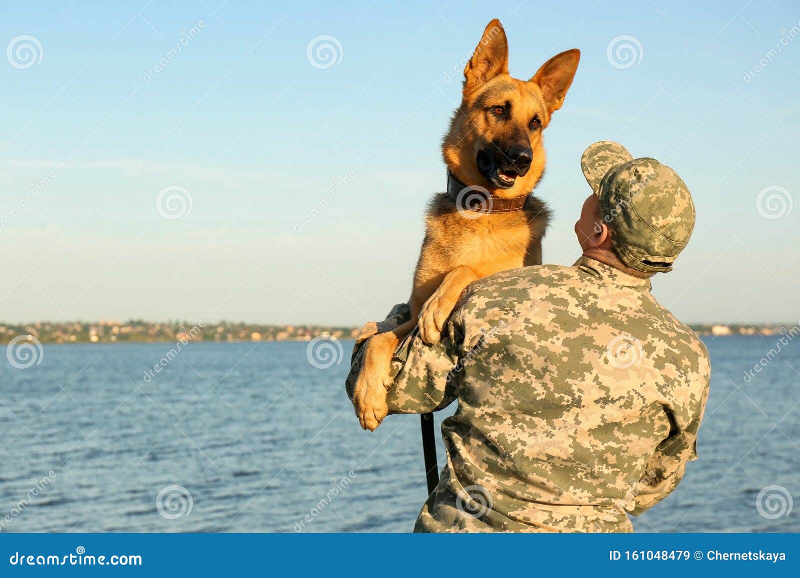 Man in Military Uniform with German Shepherd Dog Stock Image - Image of ...