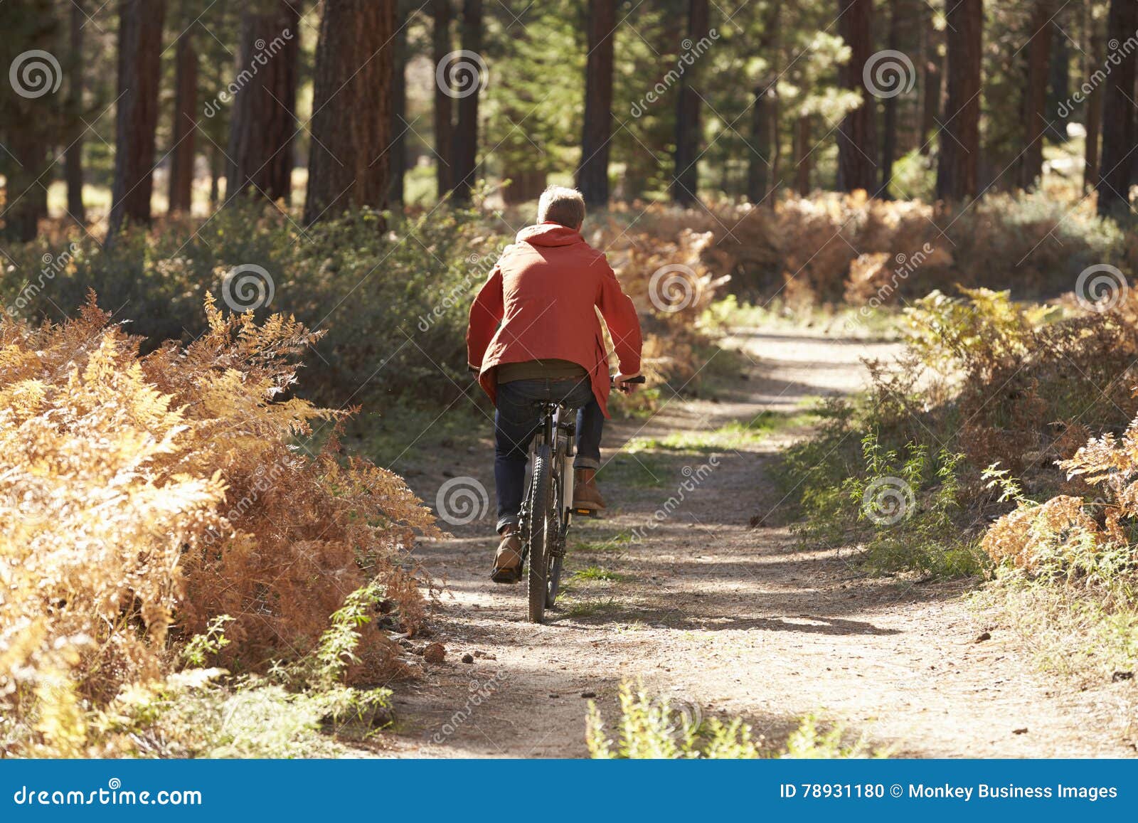 Man Mountain Biking through a Forest, Back View Stock Photo - Image of ...