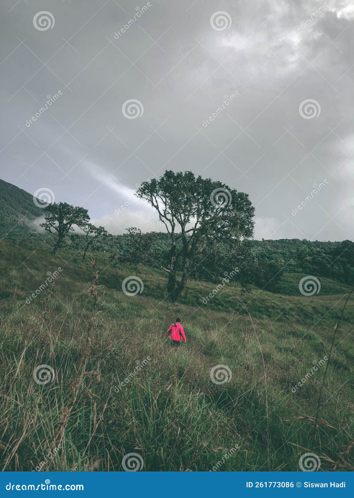 Man on the Mountain with Peace Stock Photo - Image of full, mountain ...