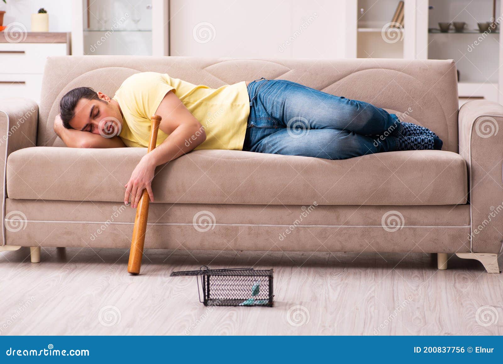 Bat Catching Insect Stock Photos - Free & Royalty-Free Stock Photos ...