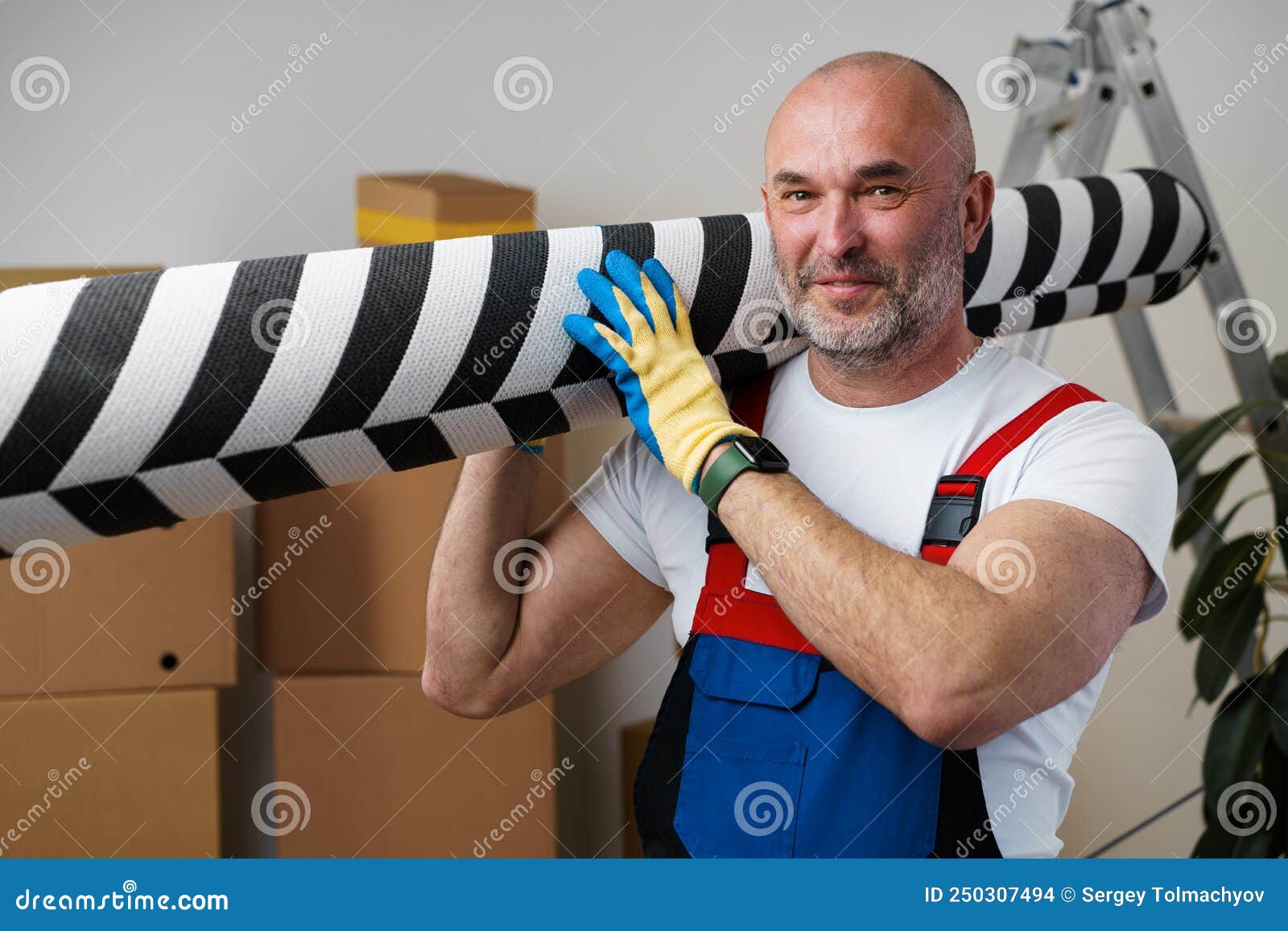 Man Mover in Uniform Carrying Big Rolled Carpet for Relocation Stock ...