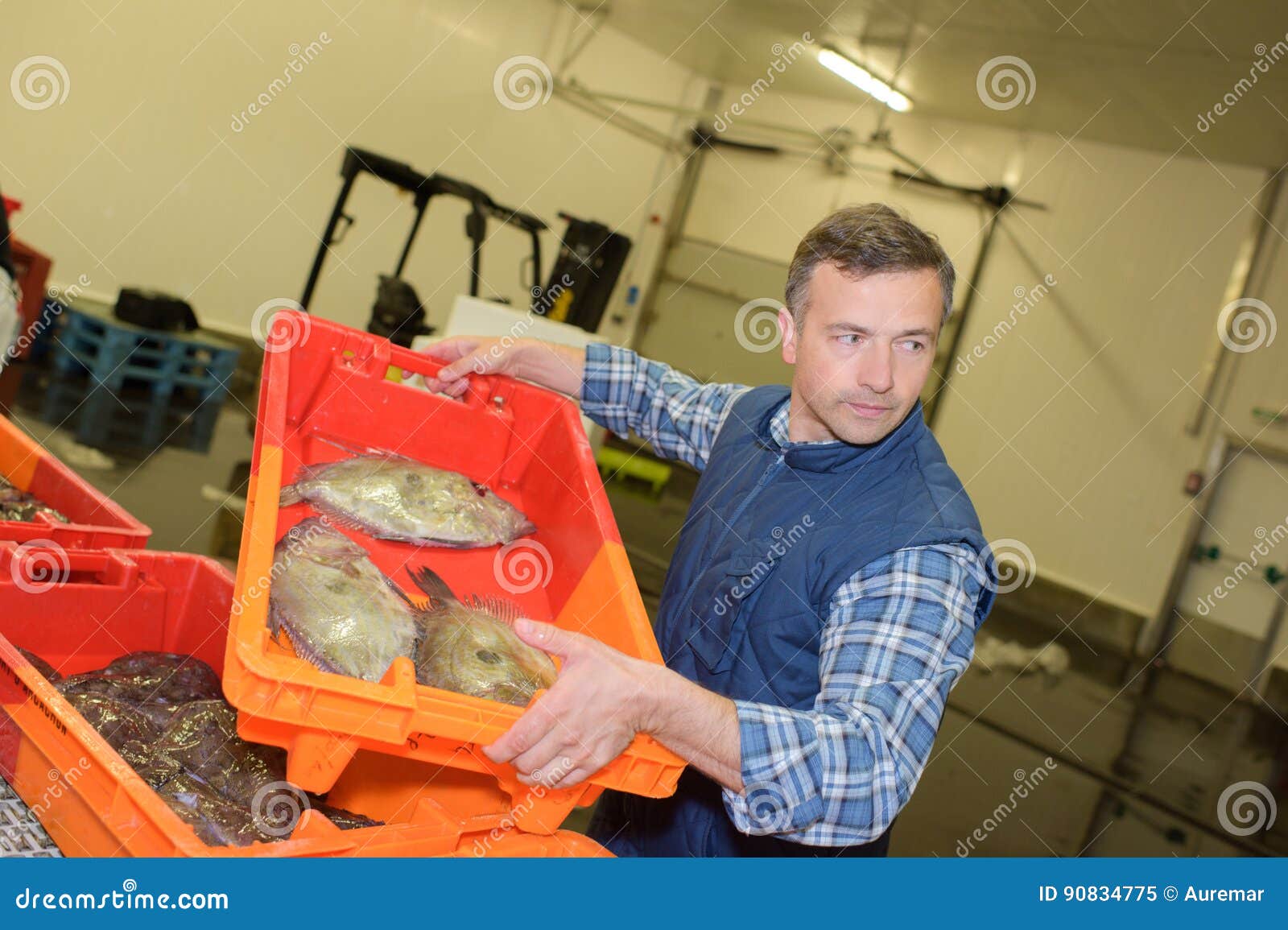 Man moving crate flat fish stock image. Image of flat - 90834775
