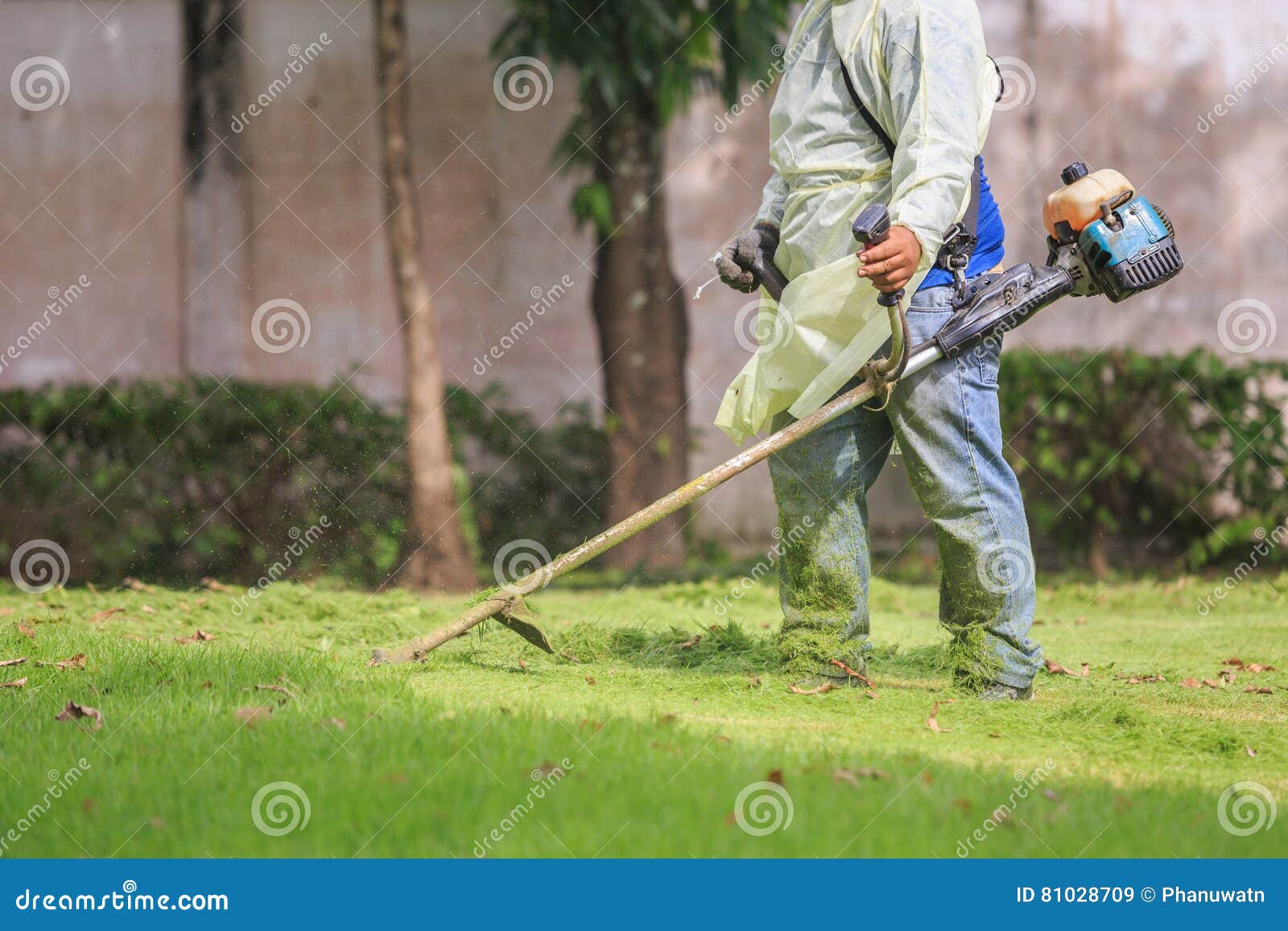 Man Mowing the Grass with Portable Machine in the Garden Stock Image ...