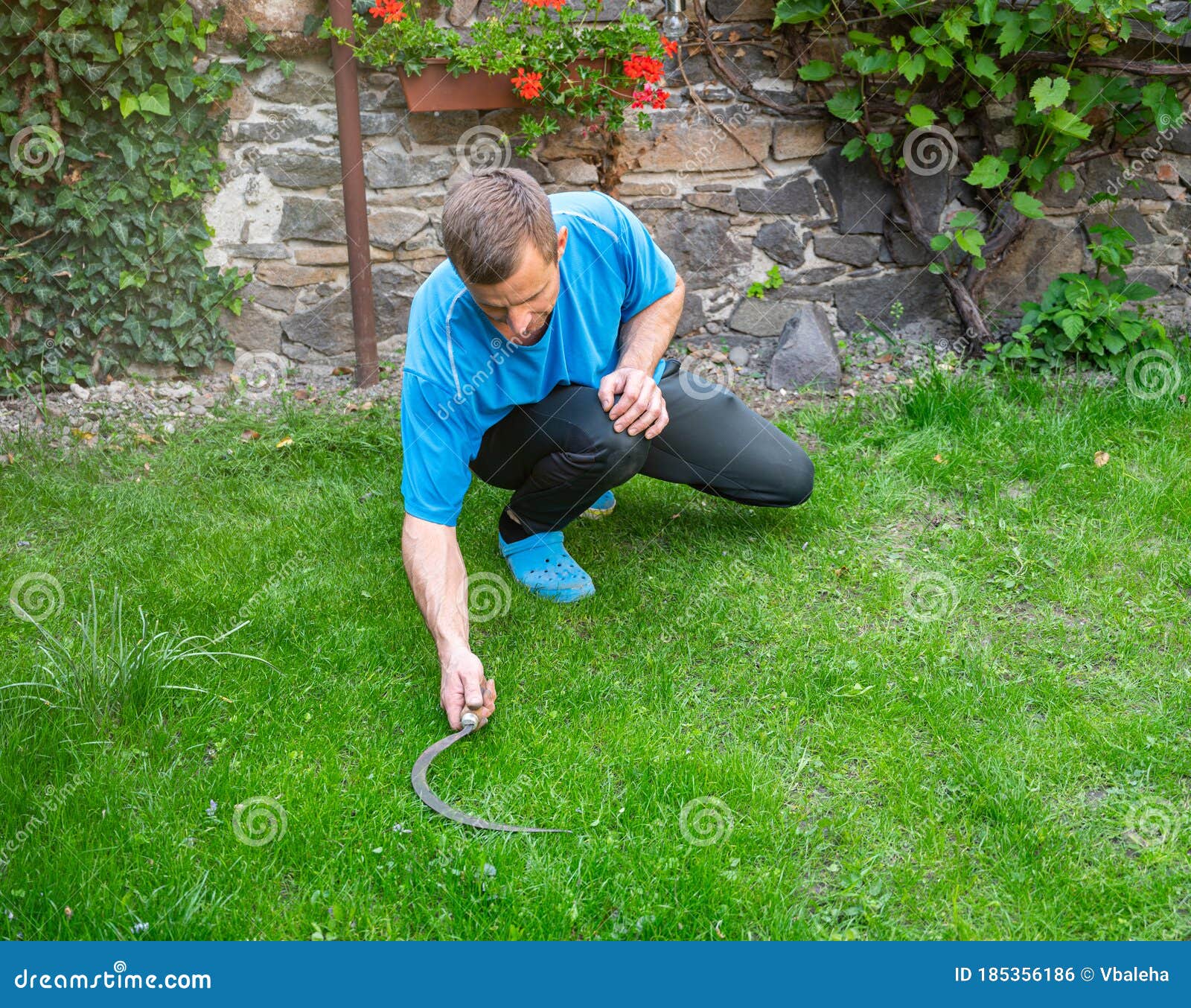 The Man Mowing the Grass Using a Sickle Stock Photo - Image of ...