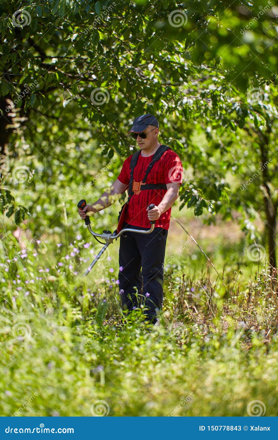 Man mowing his lawn stock image. Image of gardening - 150778843
