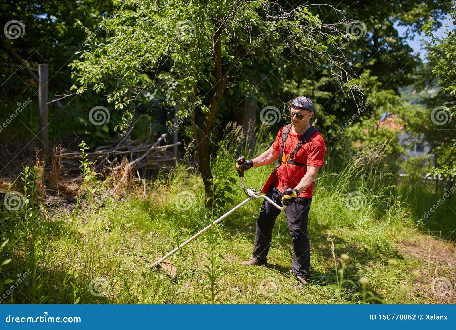 Man mowing his lawn stock photo. Image of machine, gardener - 150778862