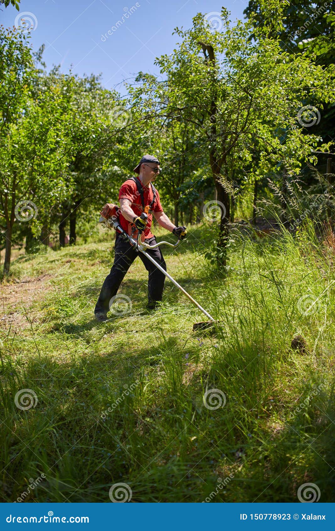 Man mowing his lawn stock image. Image of mowing, cutter - 150778923