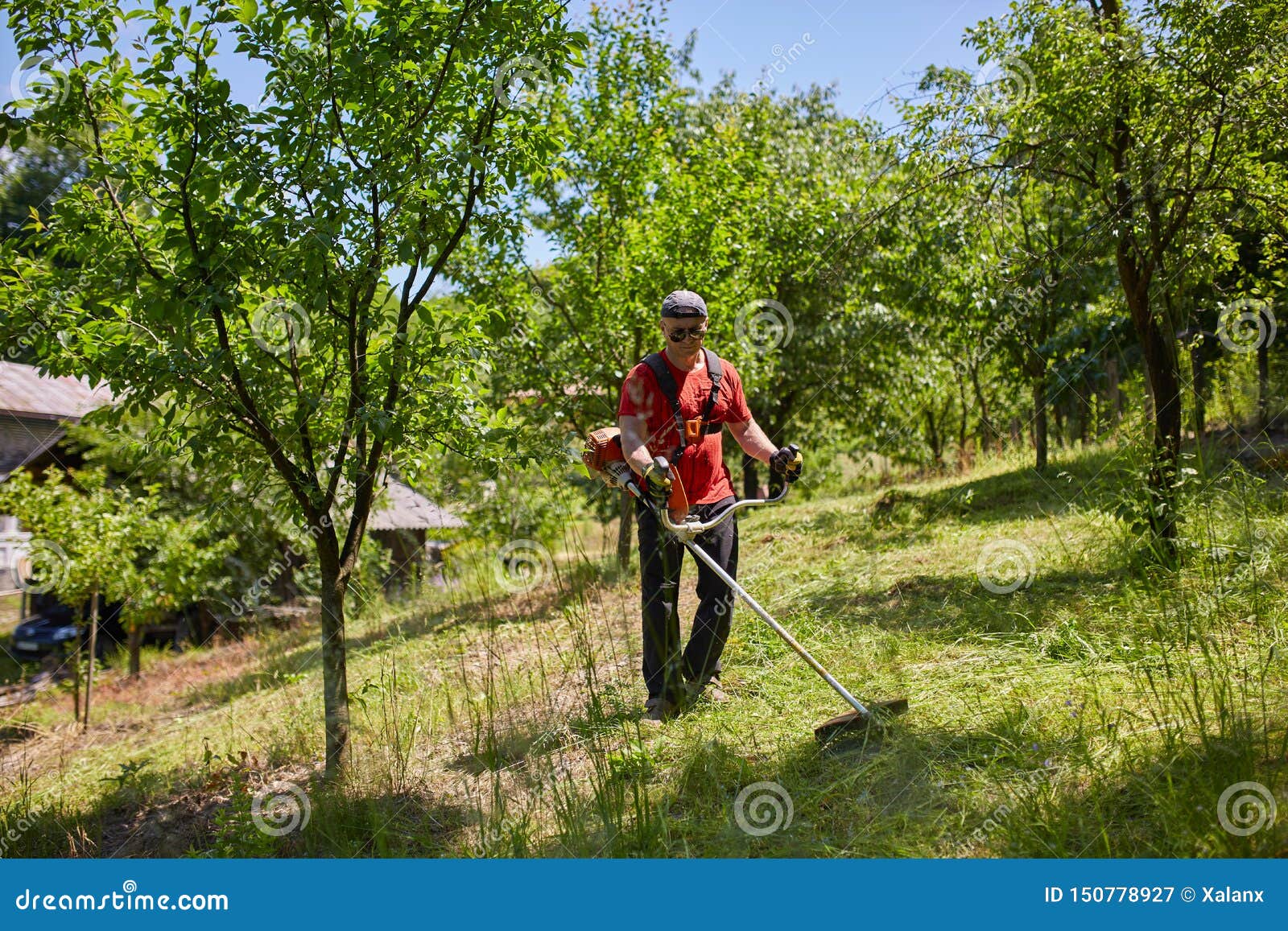 Man mowing his lawn stock image. Image of green, brush - 150778927