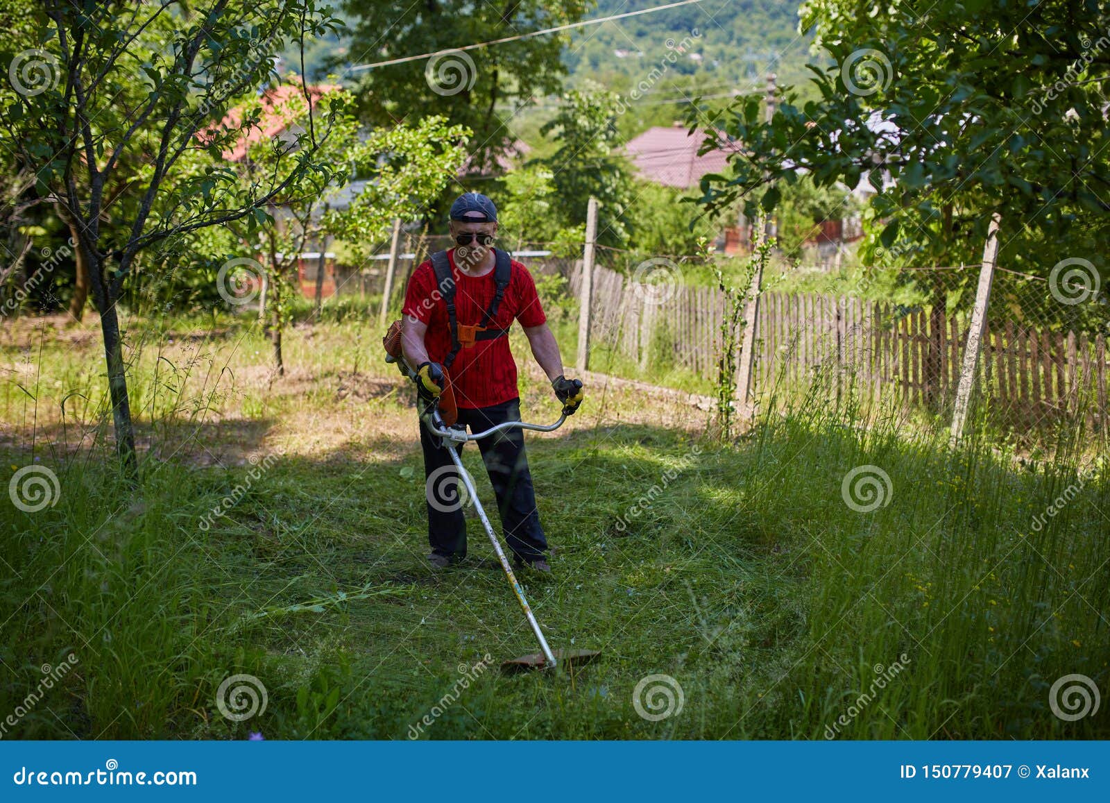 Man mowing his lawn stock image. Image of lawn, gardening - 150779407