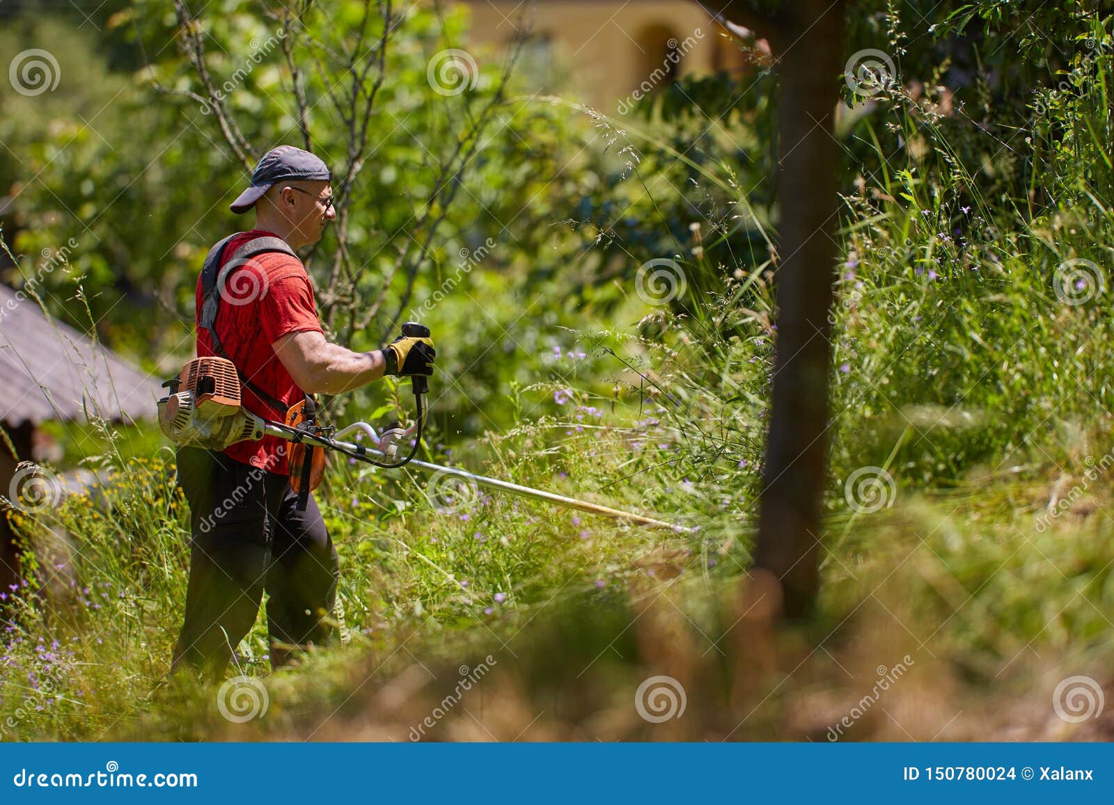Man mowing his lawn stock photo. Image of gardener, lawnmower - 150780024