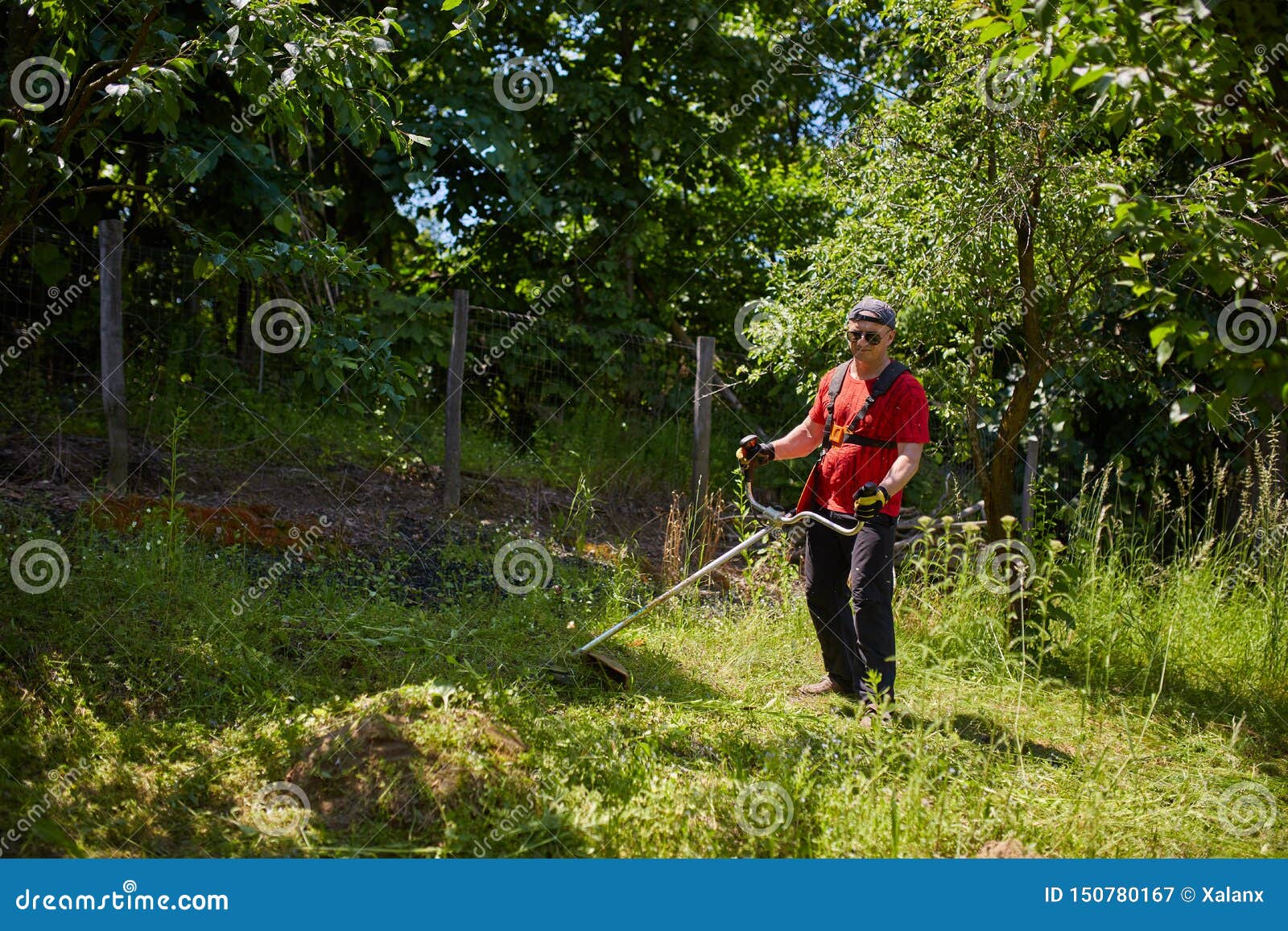 Man mowing his lawn stock image. Image of machine, people - 150780167