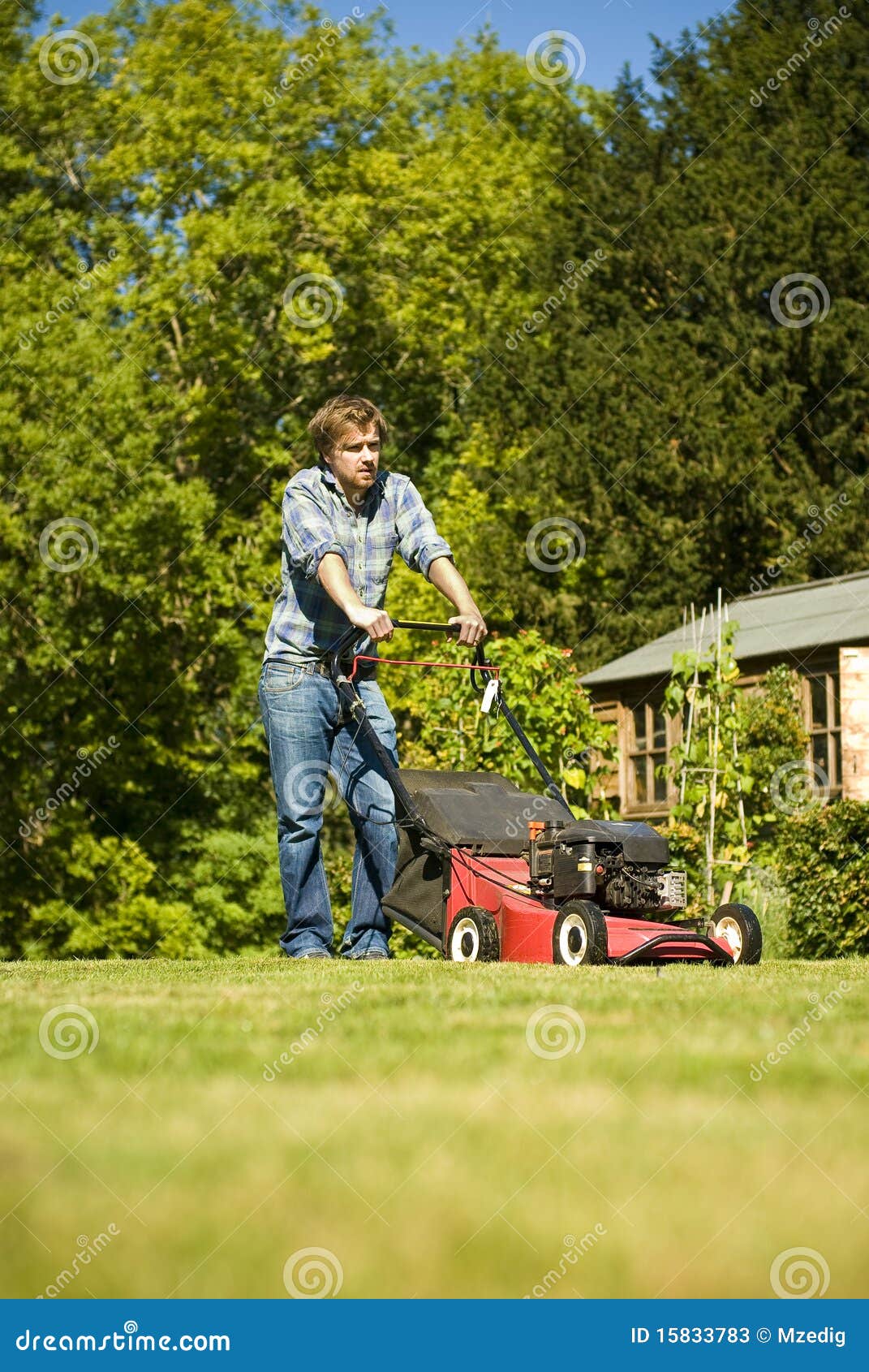 Man mowing lawn stock image. Image of garden, lawn, landscape - 15833783