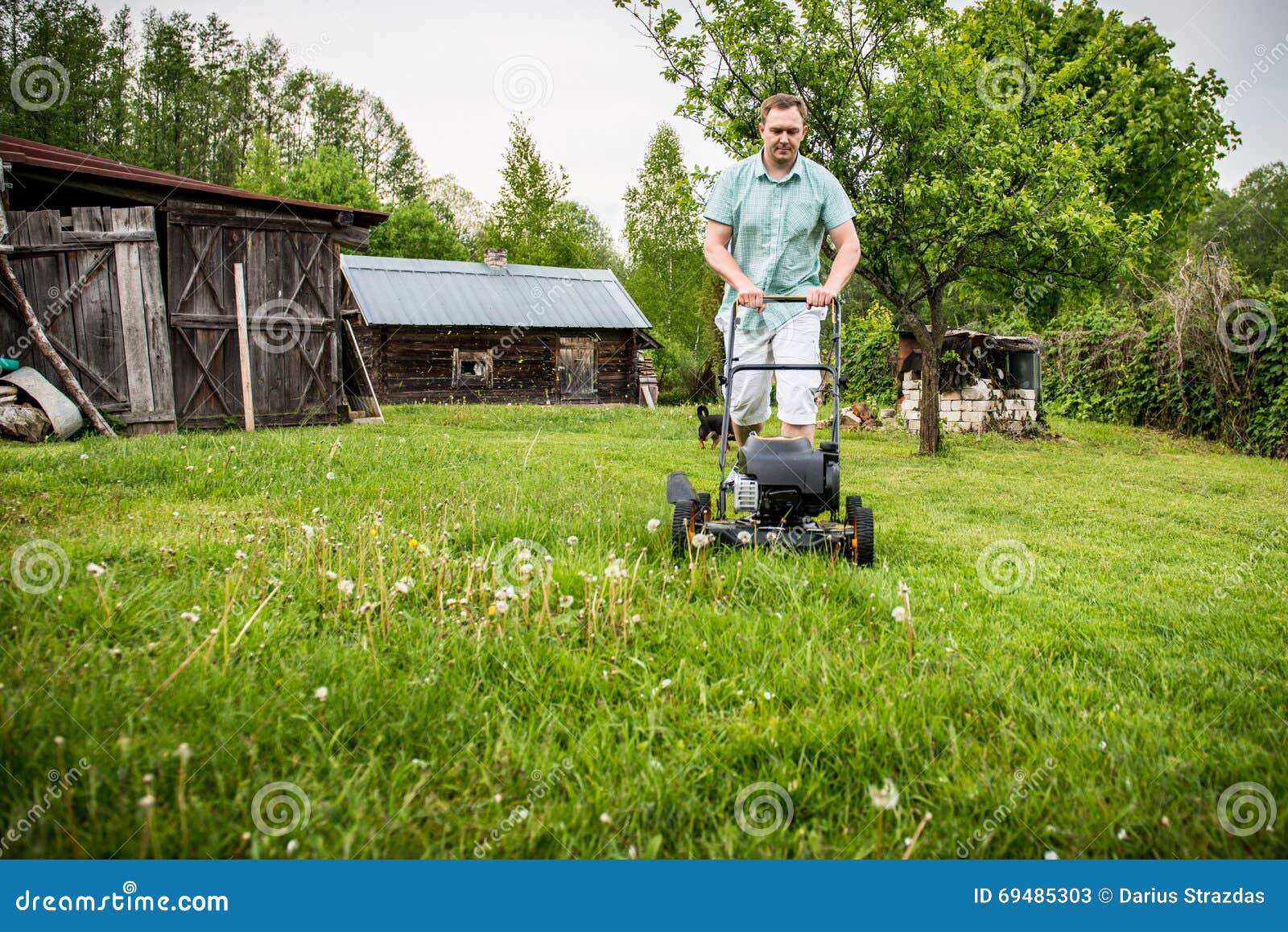 Man mowing lawn stock image. Image of mowing, lawn, rural - 69485303