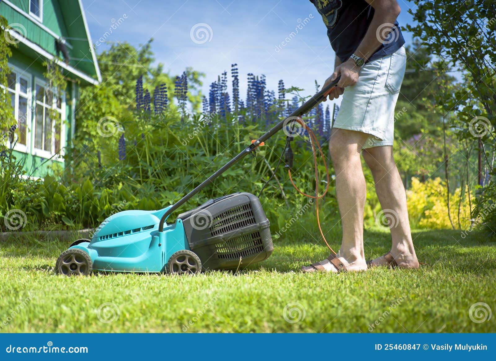 Man Mowing the Lawn in the Yard Stock Image - Image of home, electric ...